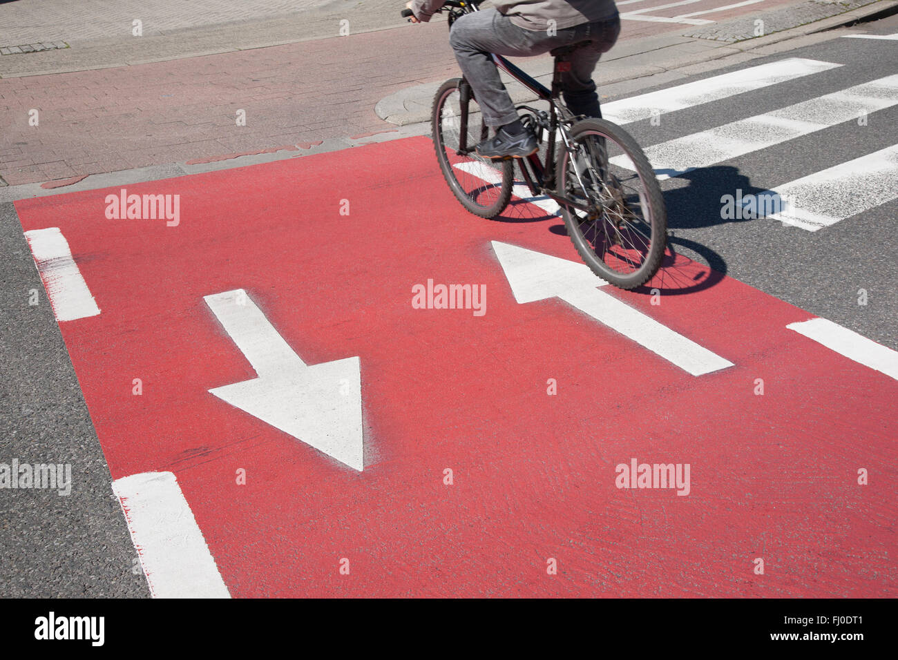 Cyclist on Bike Lane with Arrow Symbol Stock Photo - Alamy