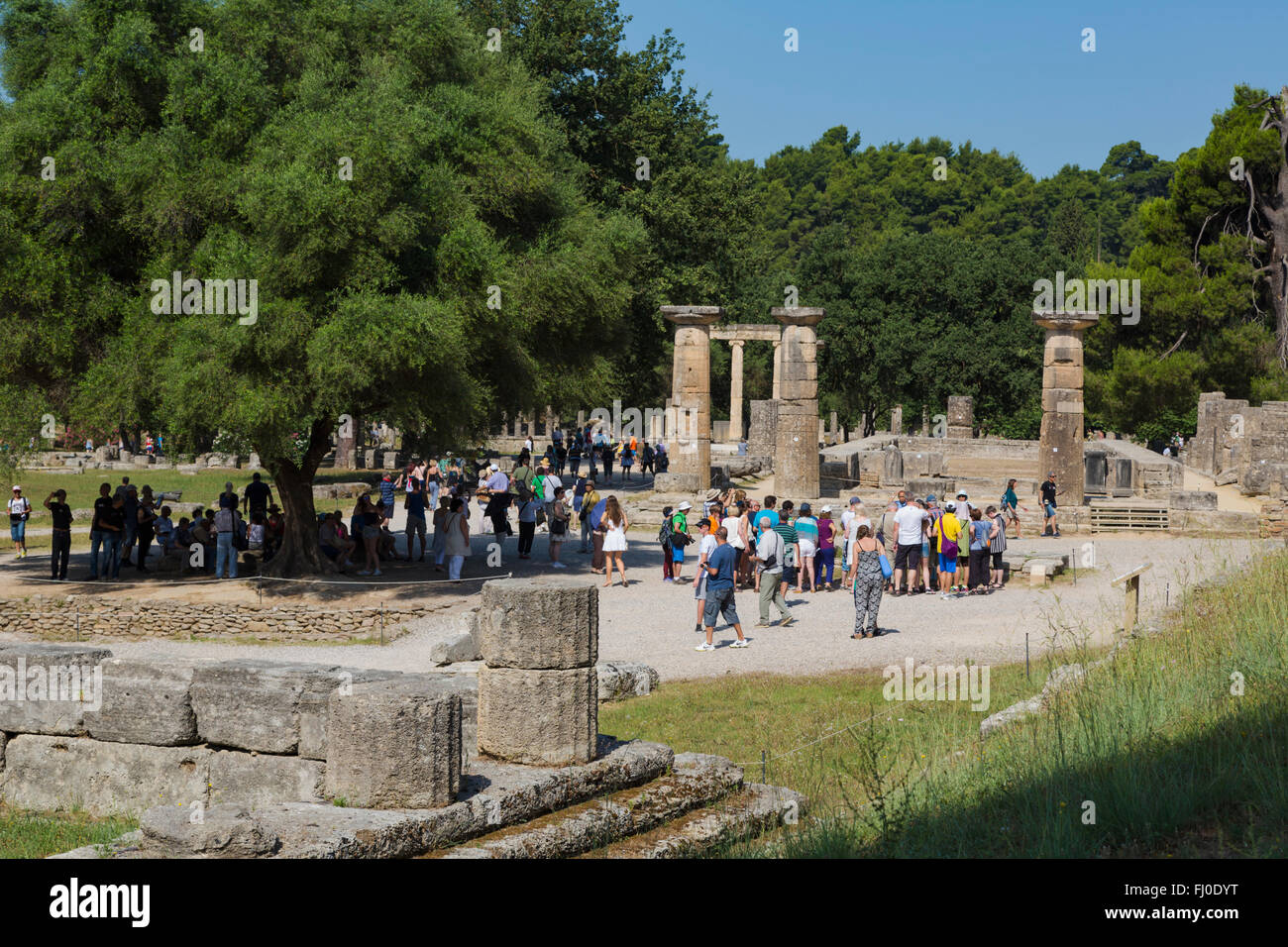 Olympia, Peloponnese, Greece. Ancient Olympia. Remains of the Temple of ...