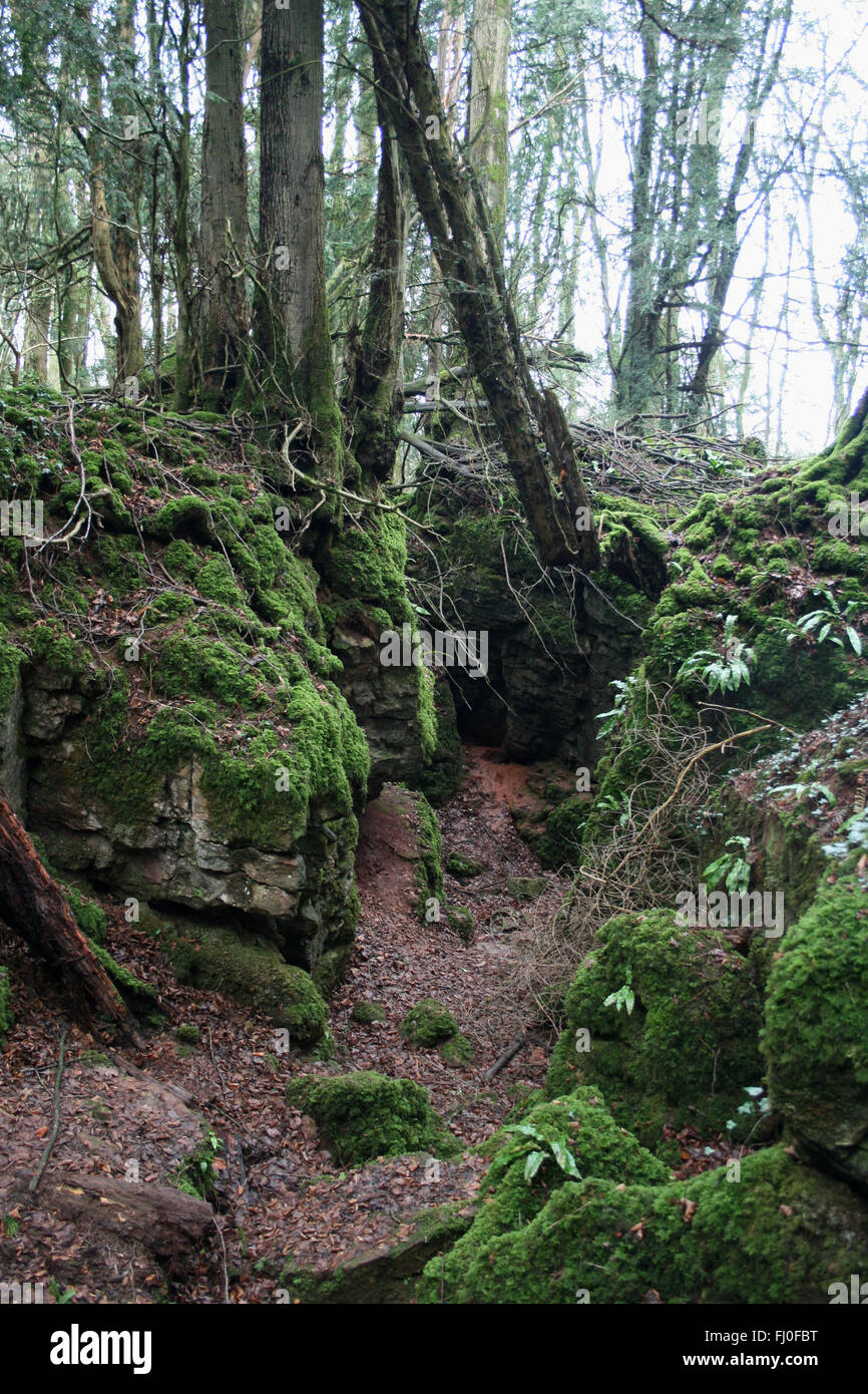 Scowle hi-res stock photography and images - Alamy