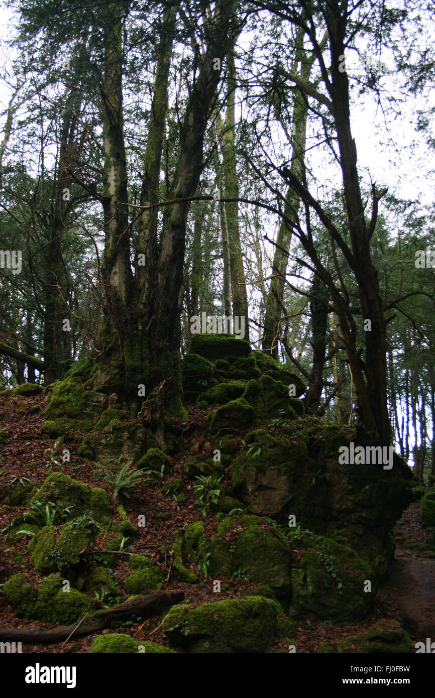 Scowle hi-res stock photography and images - Alamy