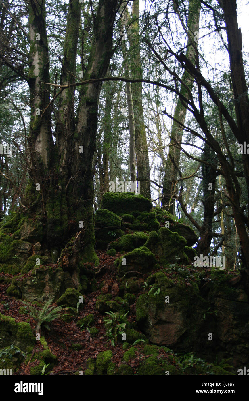 Scowle hi-res stock photography and images - Alamy