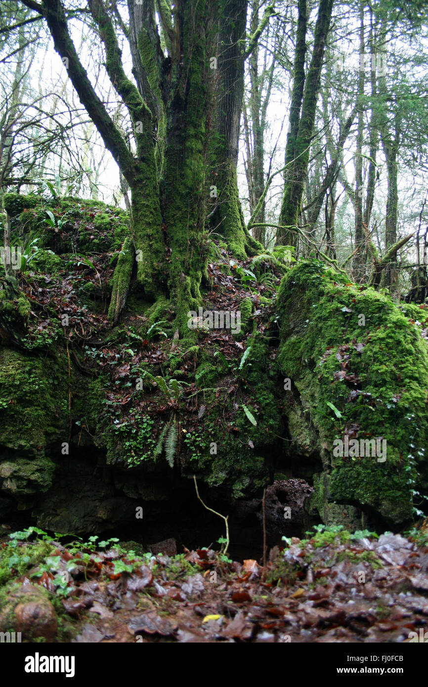 Scowle hi-res stock photography and images - Alamy