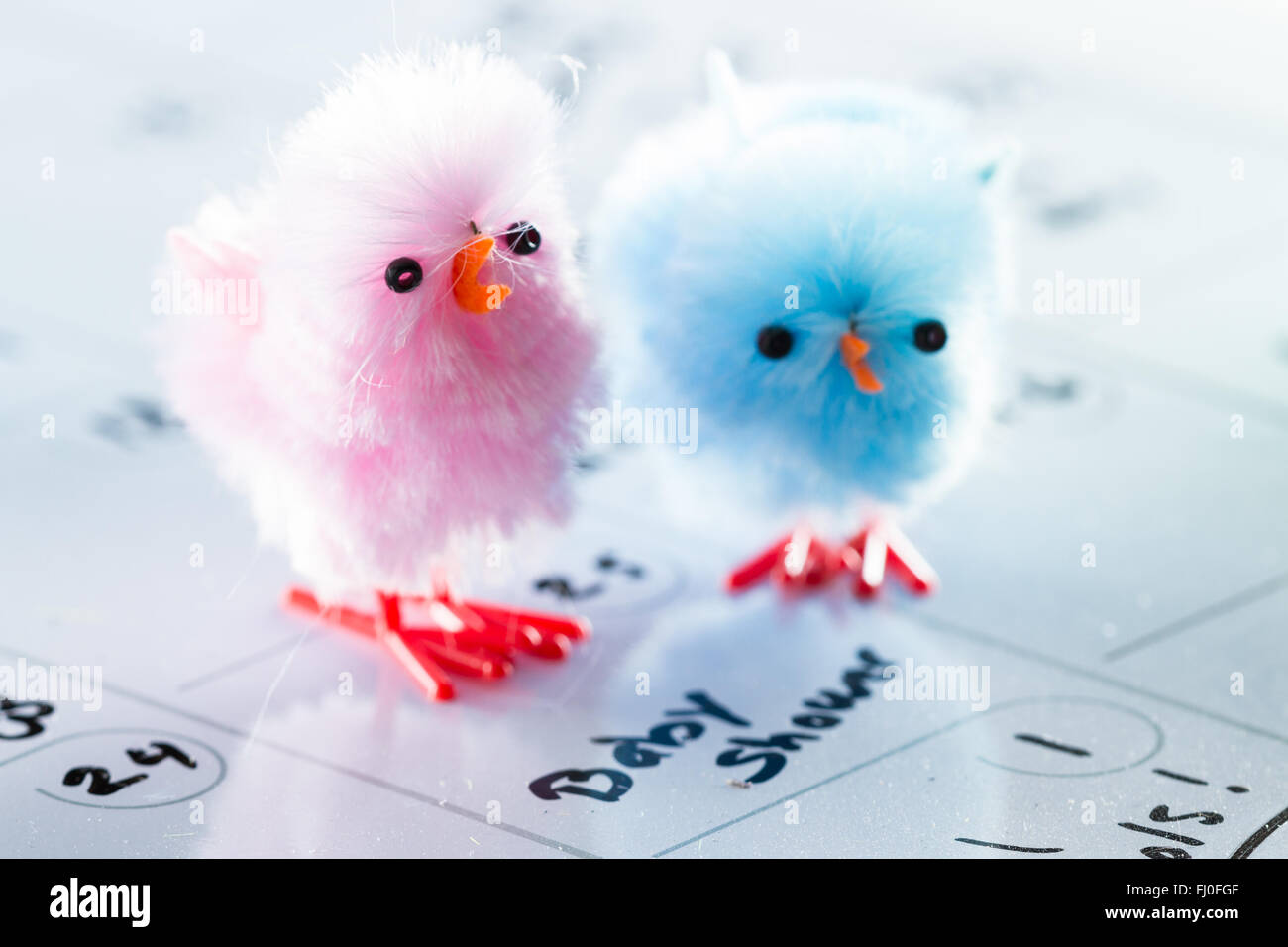 concept for a baby shower image using two fuzzy chicks in blue and pink ...