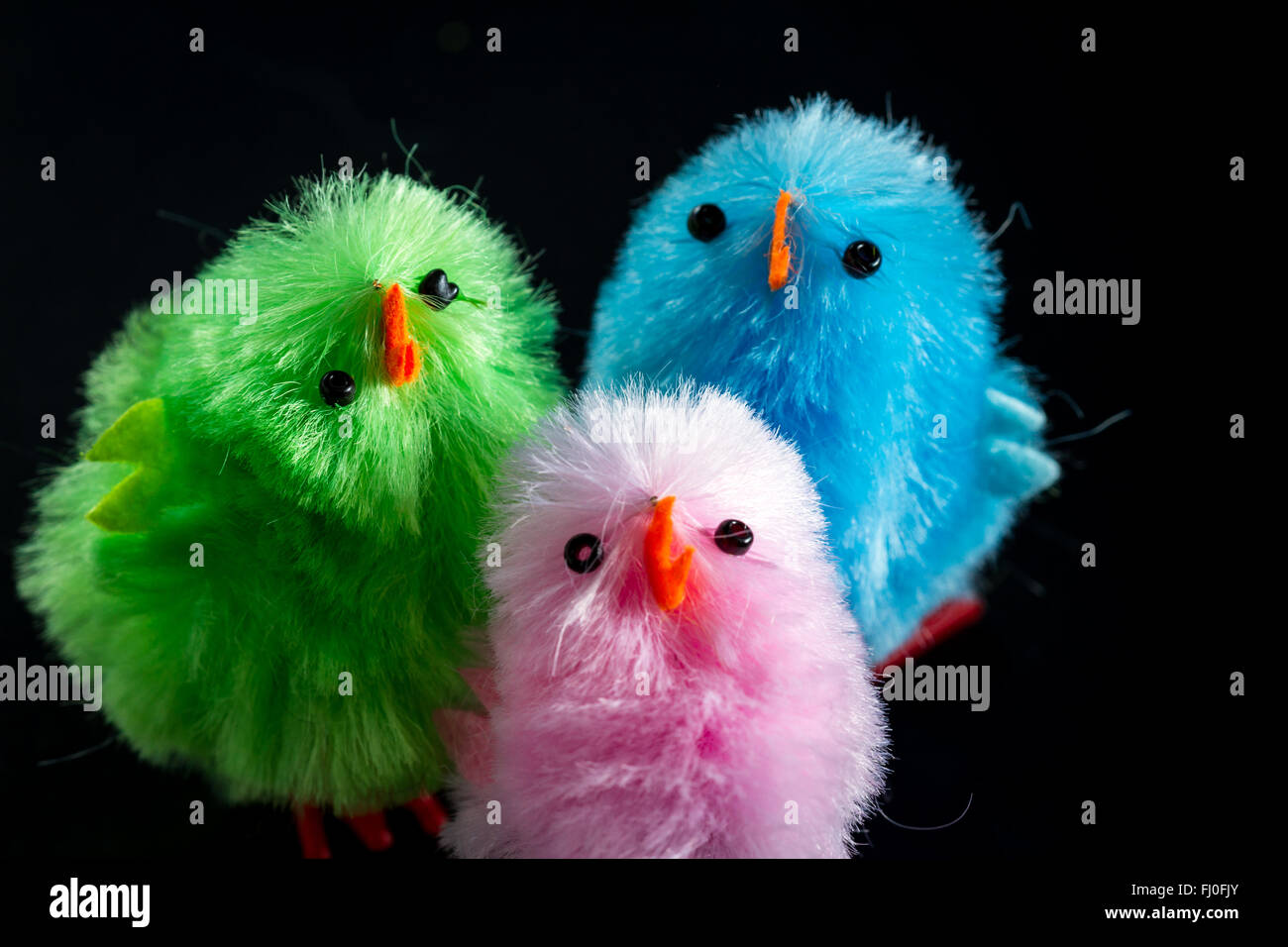 close up of a group of fuzzy chicks in pastel colors for a spring ...