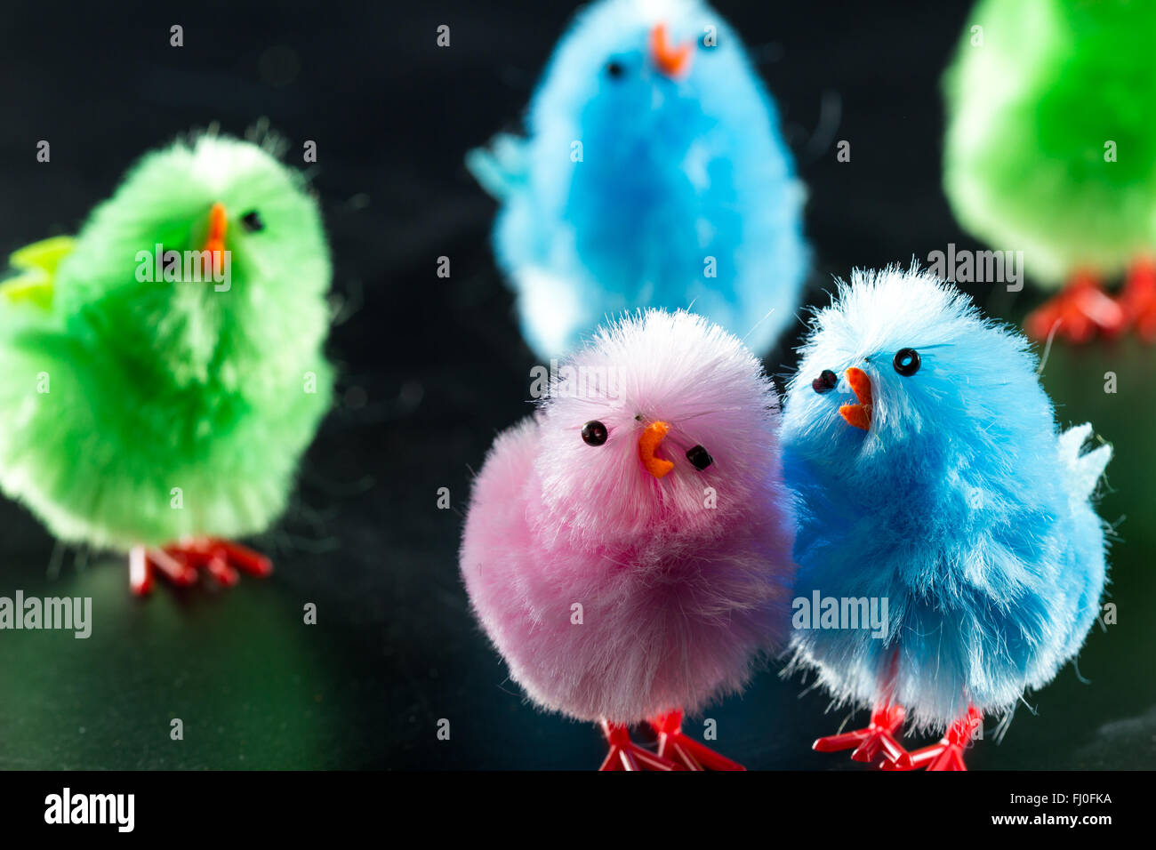 close up of a group of fuzzy chicks in pastel colors for a spring ...