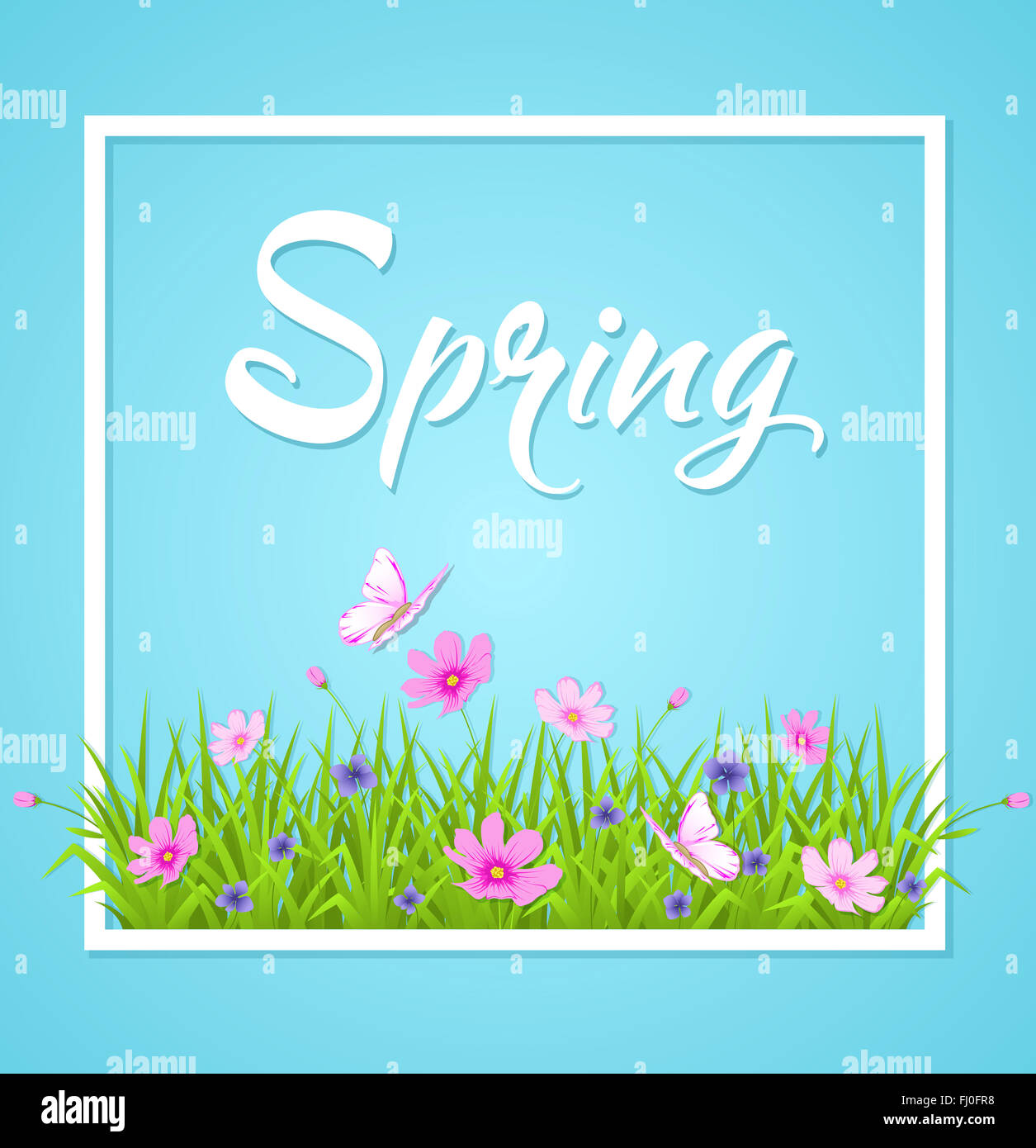 Blue spring background with green grass and cosmos flowers Stock Photo ...