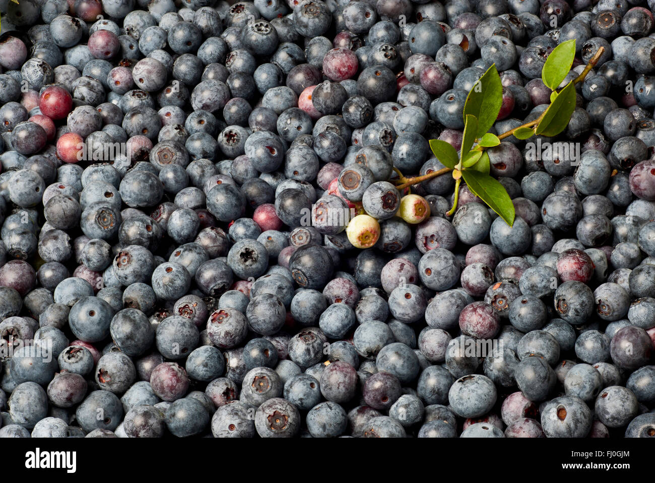 Fruit montage hi-res stock photography and images - Alamy