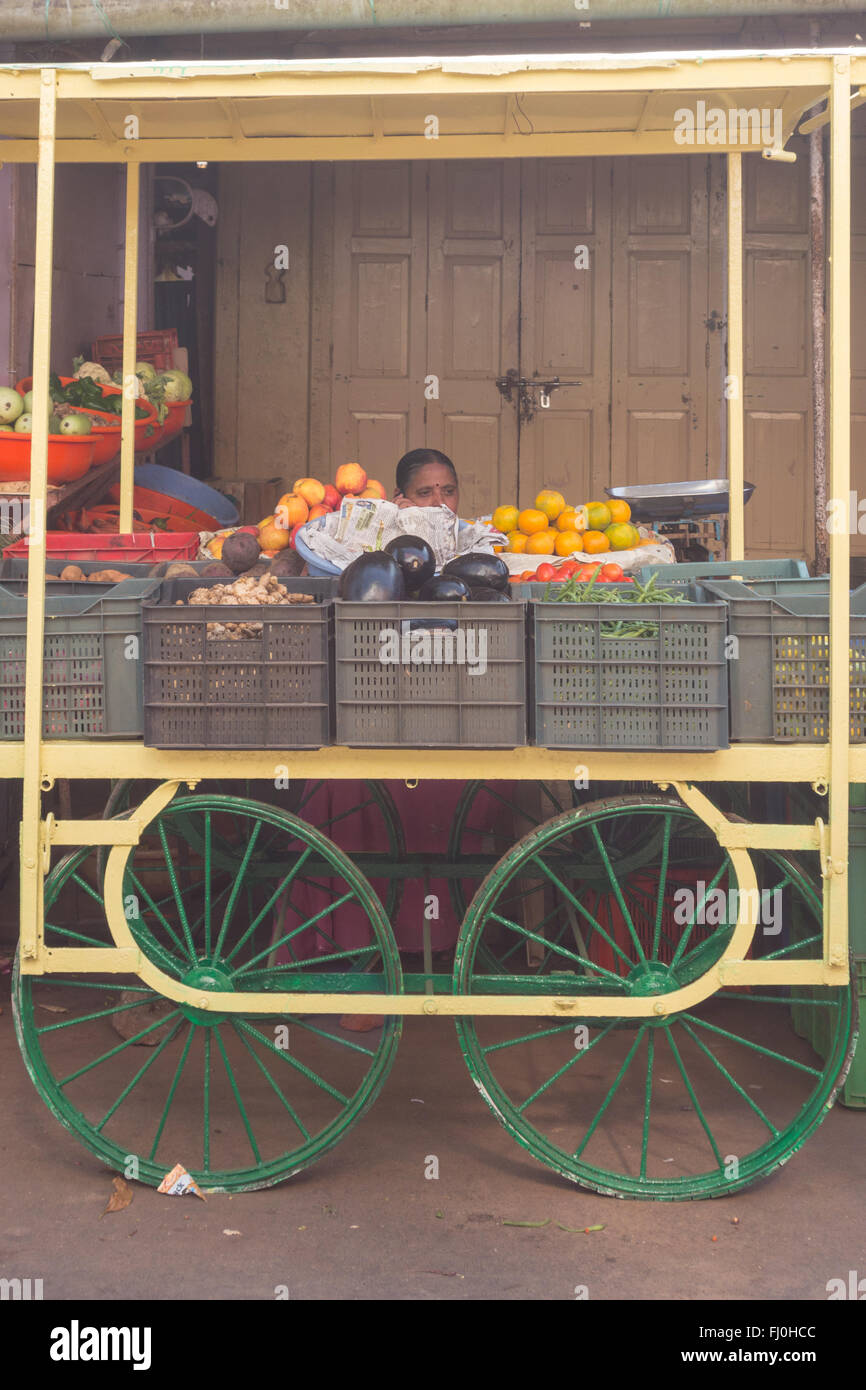 A lone Indian woman sitting partially hidden behind her cart selling ...