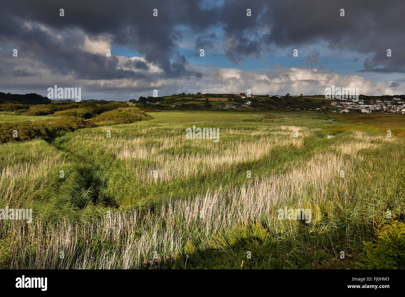 Marazion rspb reserve hi-res stock photography and images - Alamy