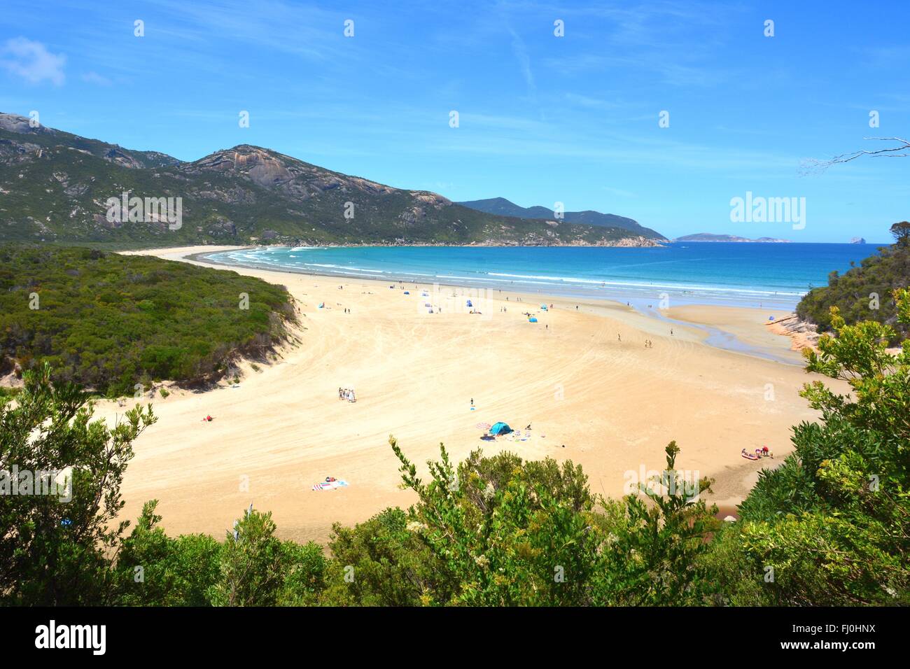 Norman Bay beach in Wilsons Promontory National Park Stock Photo - Alamy