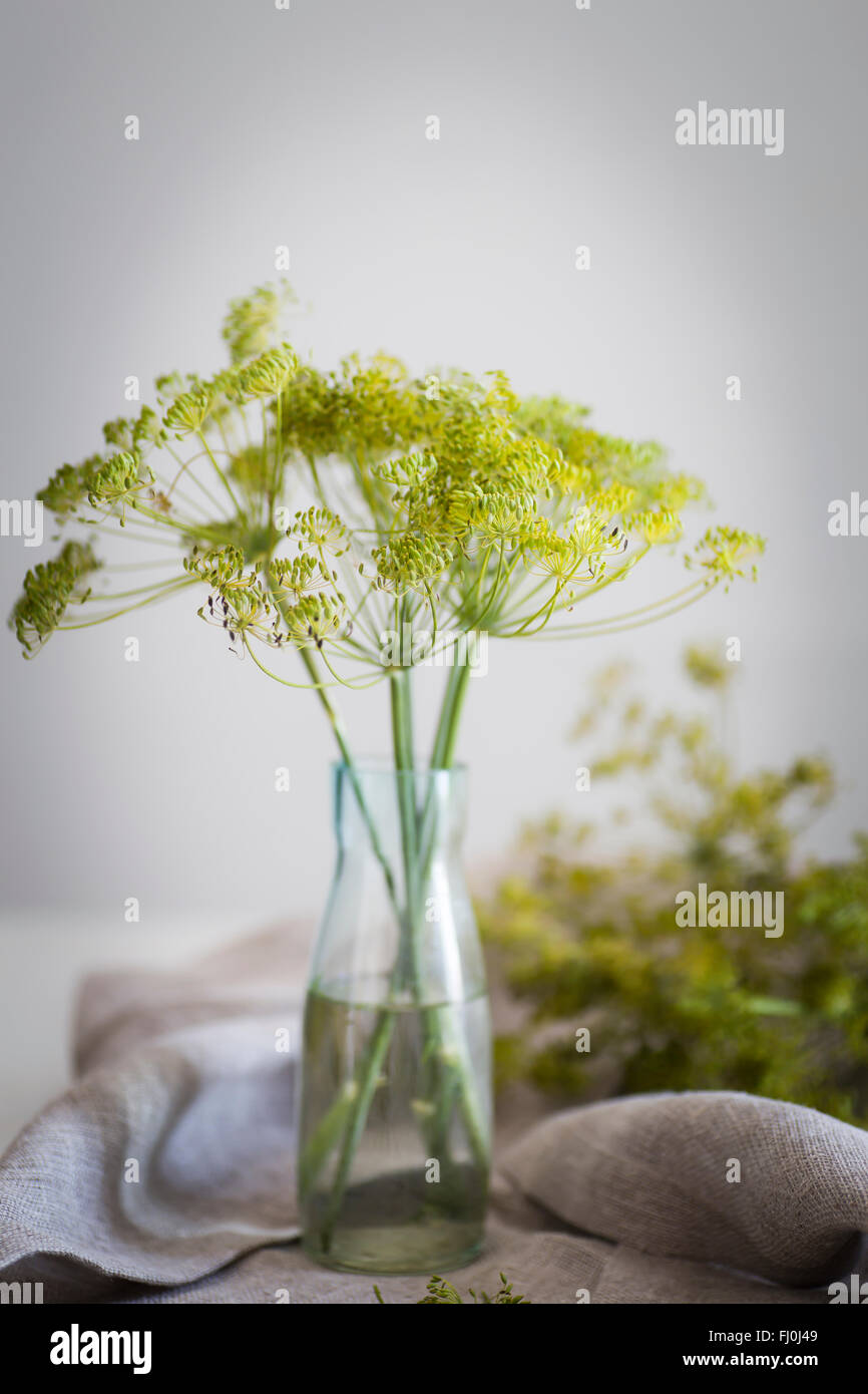 Dill in water hi-res stock photography and images - Alamy
