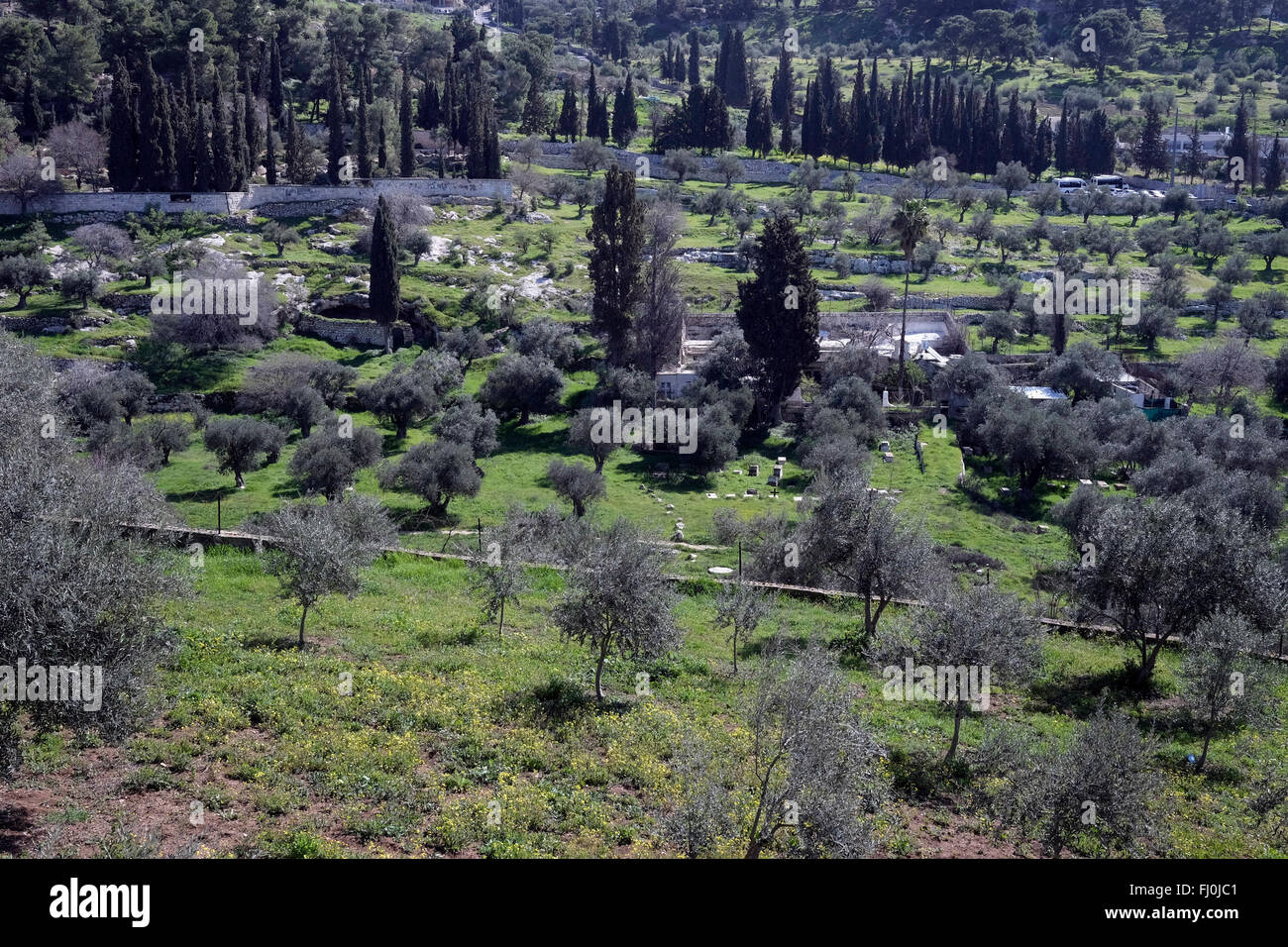 Wadi nar hi-res stock photography and images - Alamy
