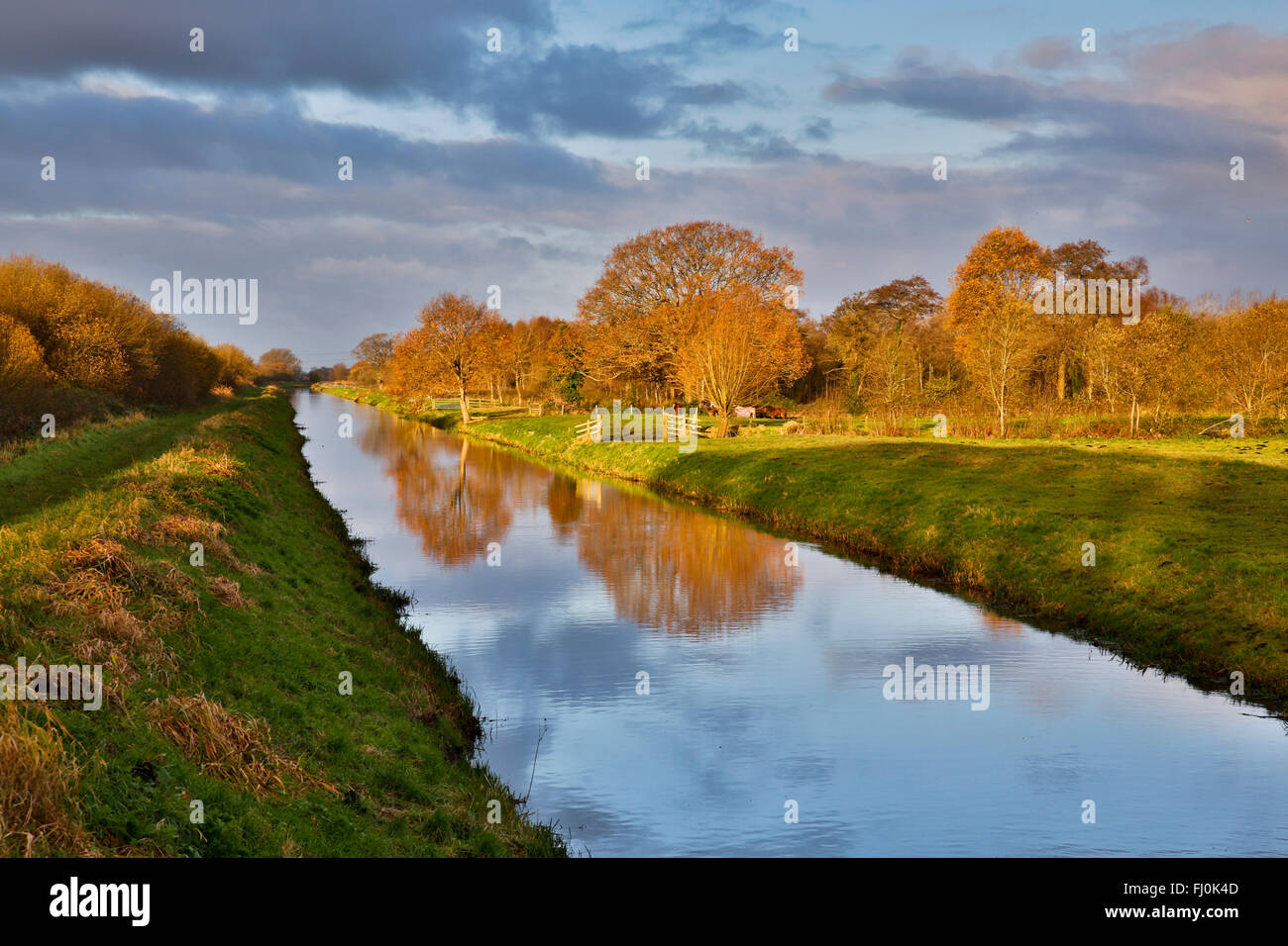 Shapwick; Somerset; UK Stock Photo - Alamy