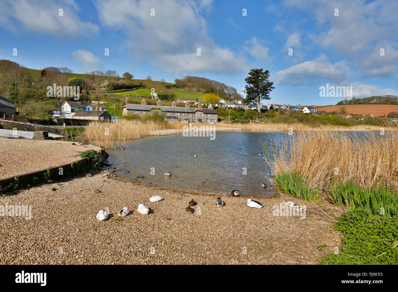 Slapton Ley ; Devon; UK Stock Photo - Alamy