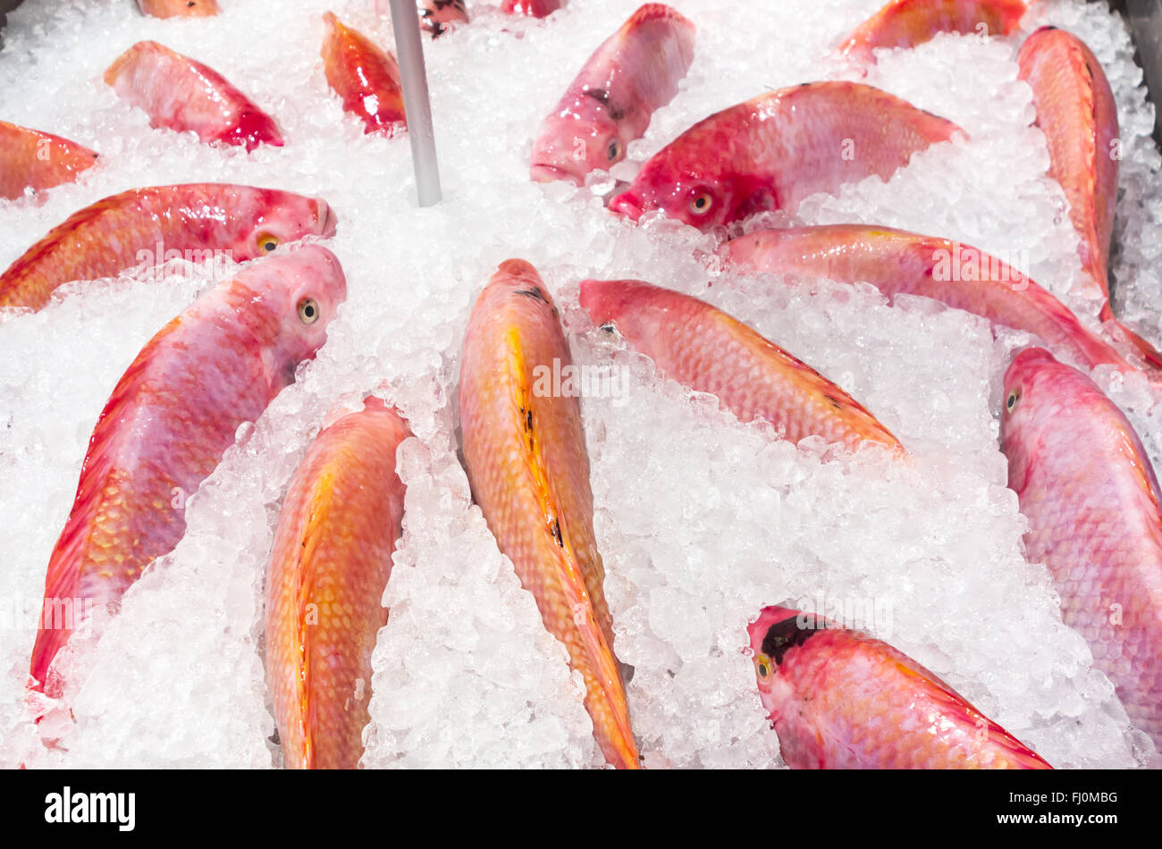 Crushed ice fresh fish hi-res stock photography and images - Alamy