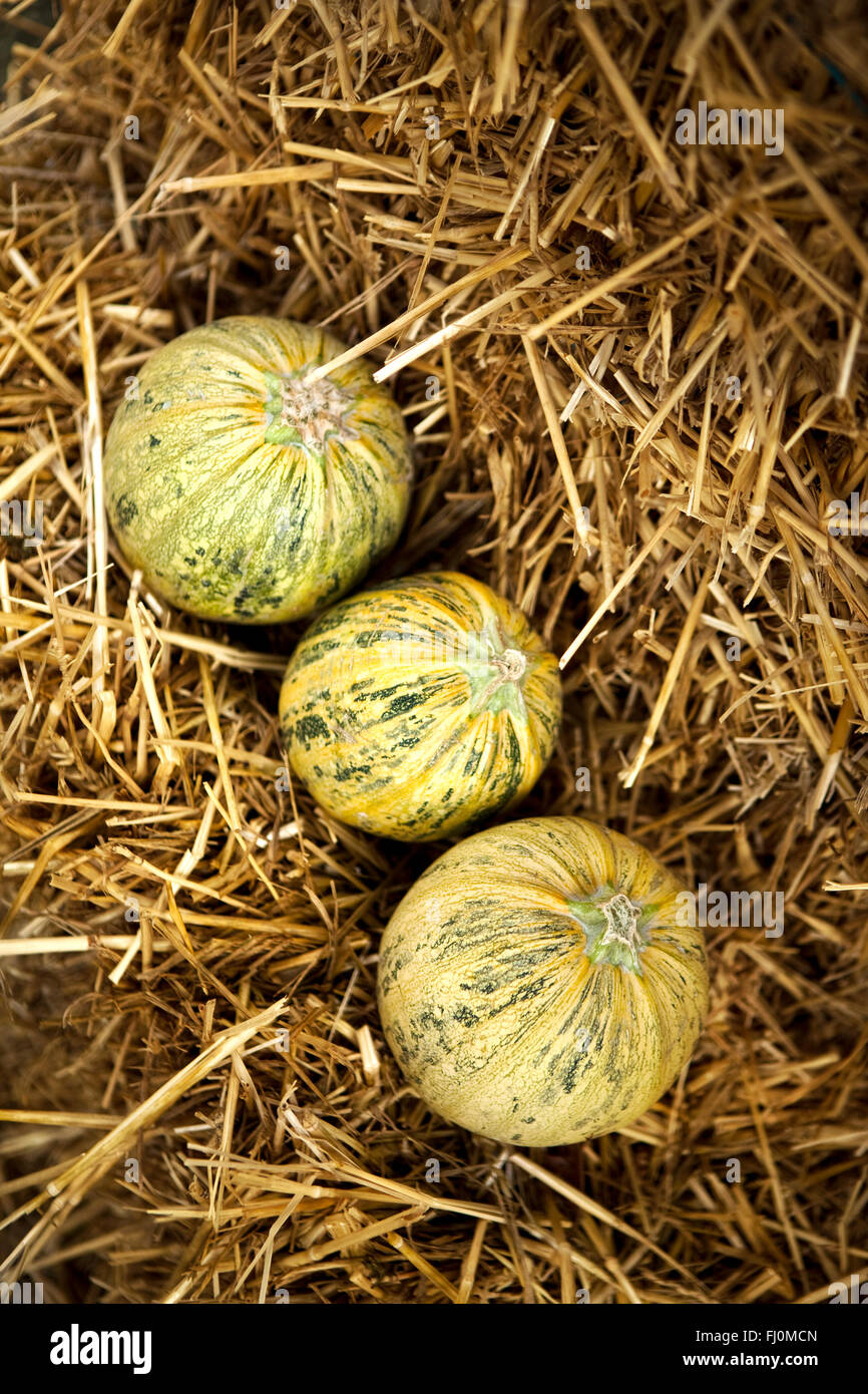 Three green melons on straw in a farm house Stock Photo - Alamy
