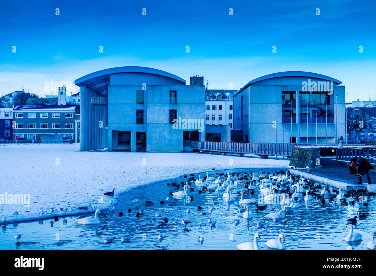 Civic Centre and Tjornin, the frozen lake in downtown Reykjavik Stock ...