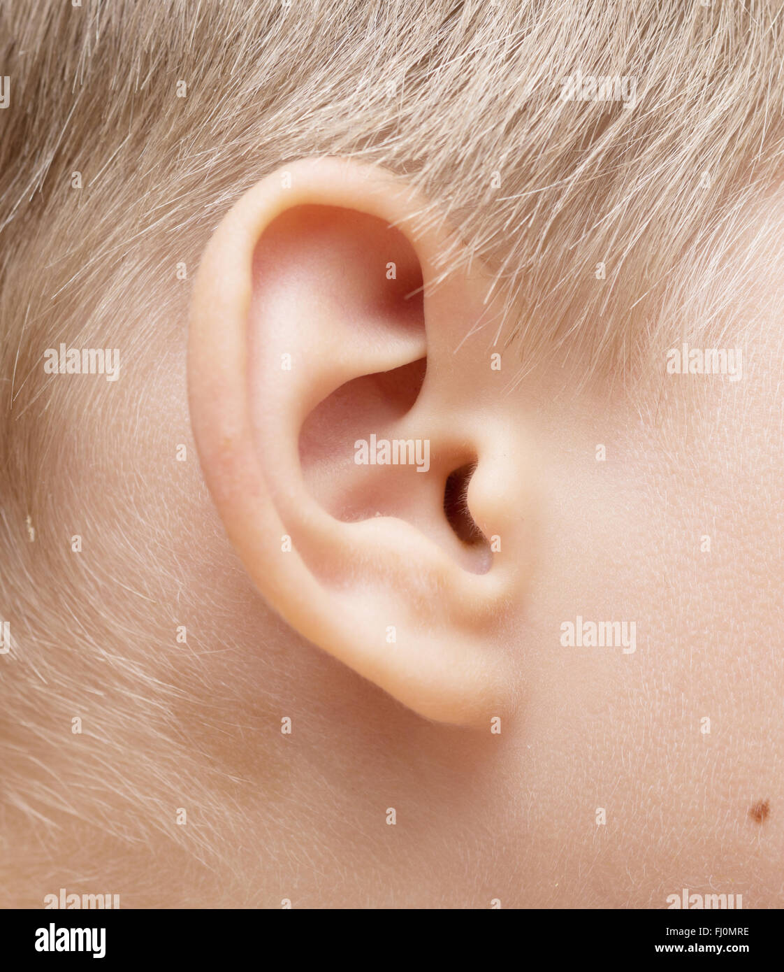 Human ear hi-res stock photography and images - Alamy