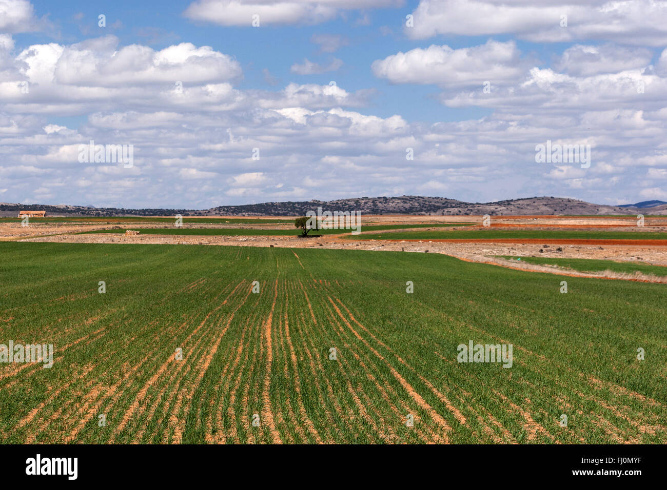 La mancha landscape hi-res stock photography and images - Alamy