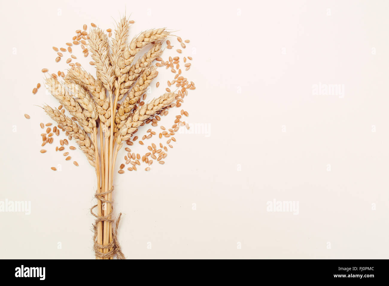 Golden ripe wheat on white background Stock Photo - Alamy
