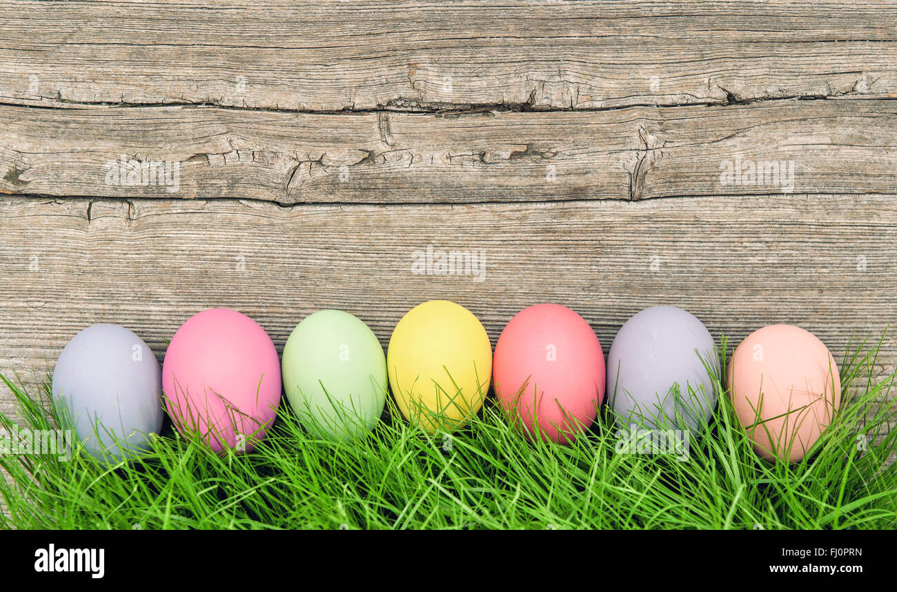 Easter Egg Grass Background