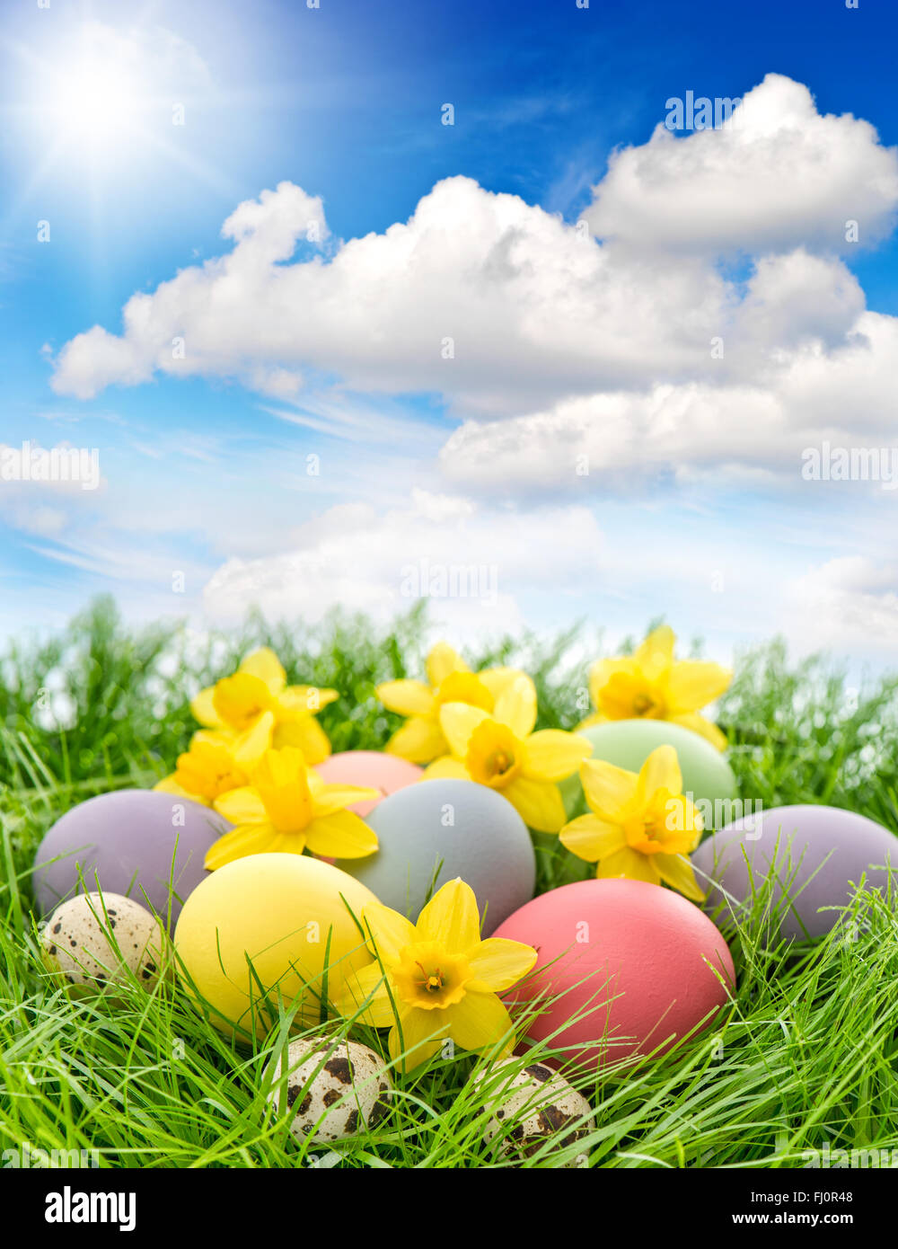 Easter eggs with spring flowers in green grass. Beautiful sunny blue ...