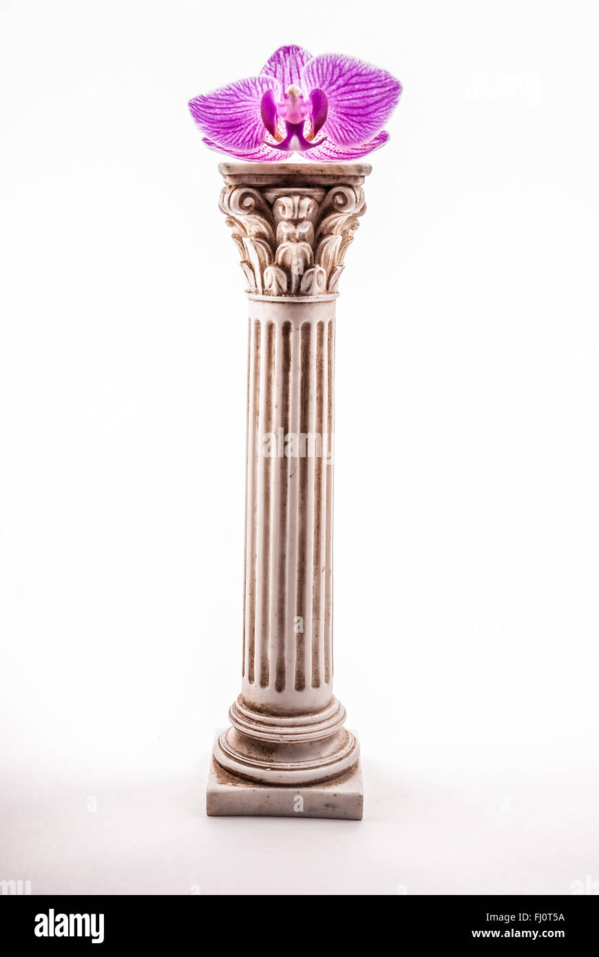Classical column with flower Stock Photo - Alamy