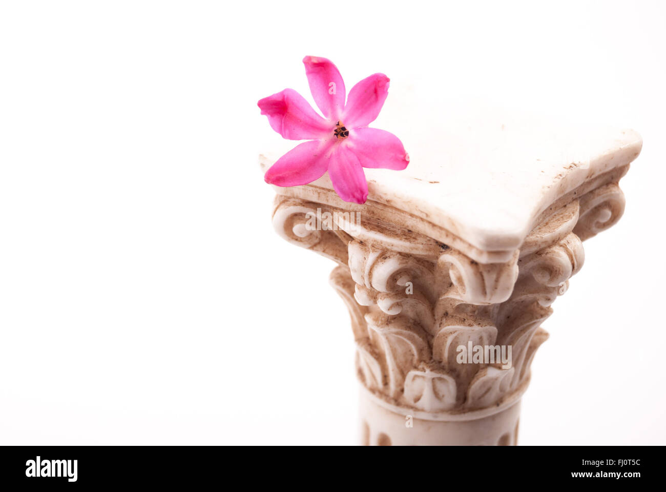 Classical column with flower Stock Photo - Alamy