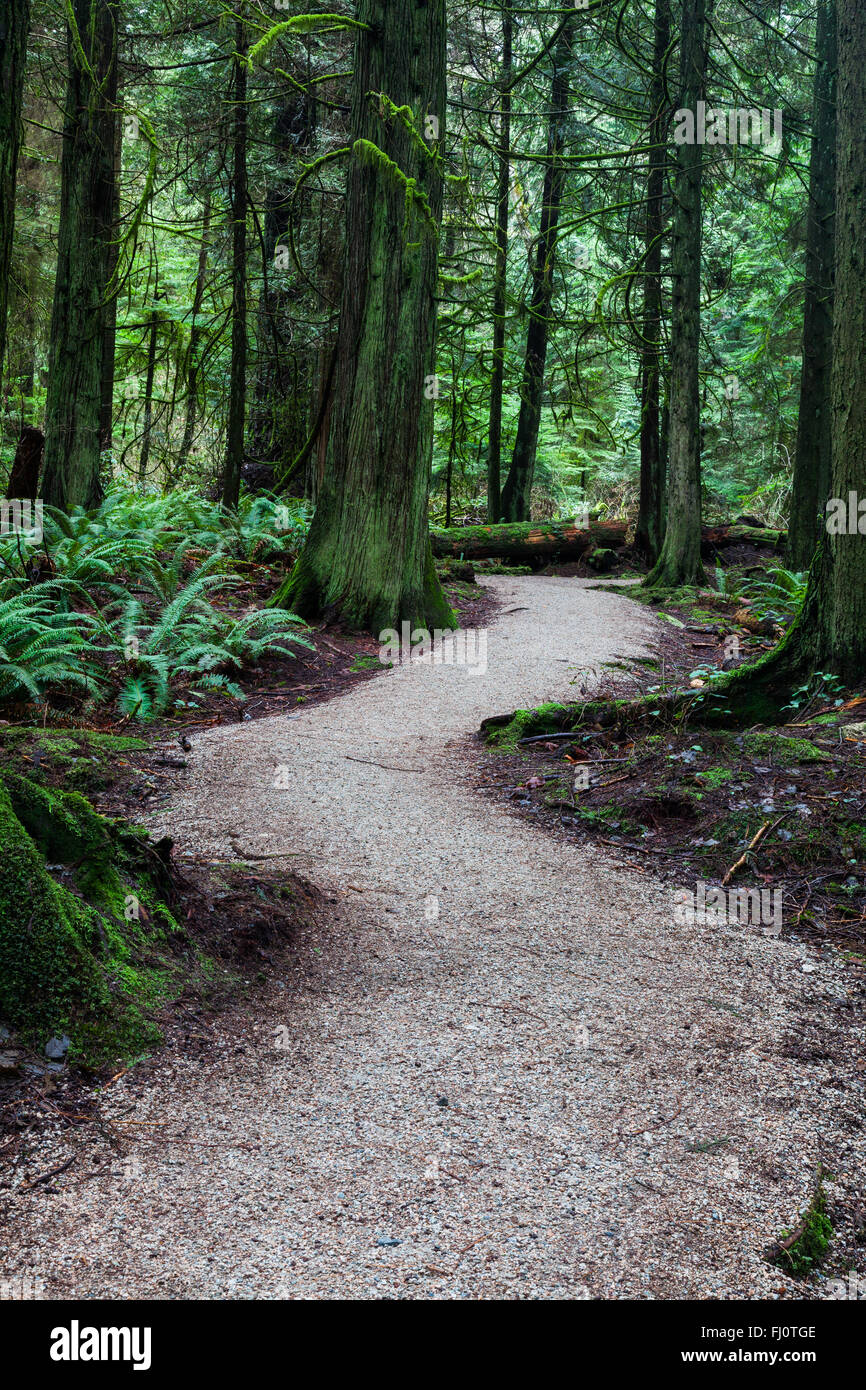 Spirit trail hi-res stock photography and images - Alamy