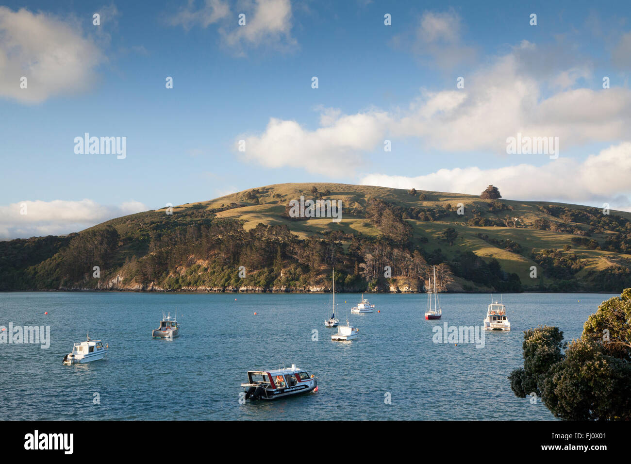 Bay of akaroa hi-res stock photography and images - Alamy