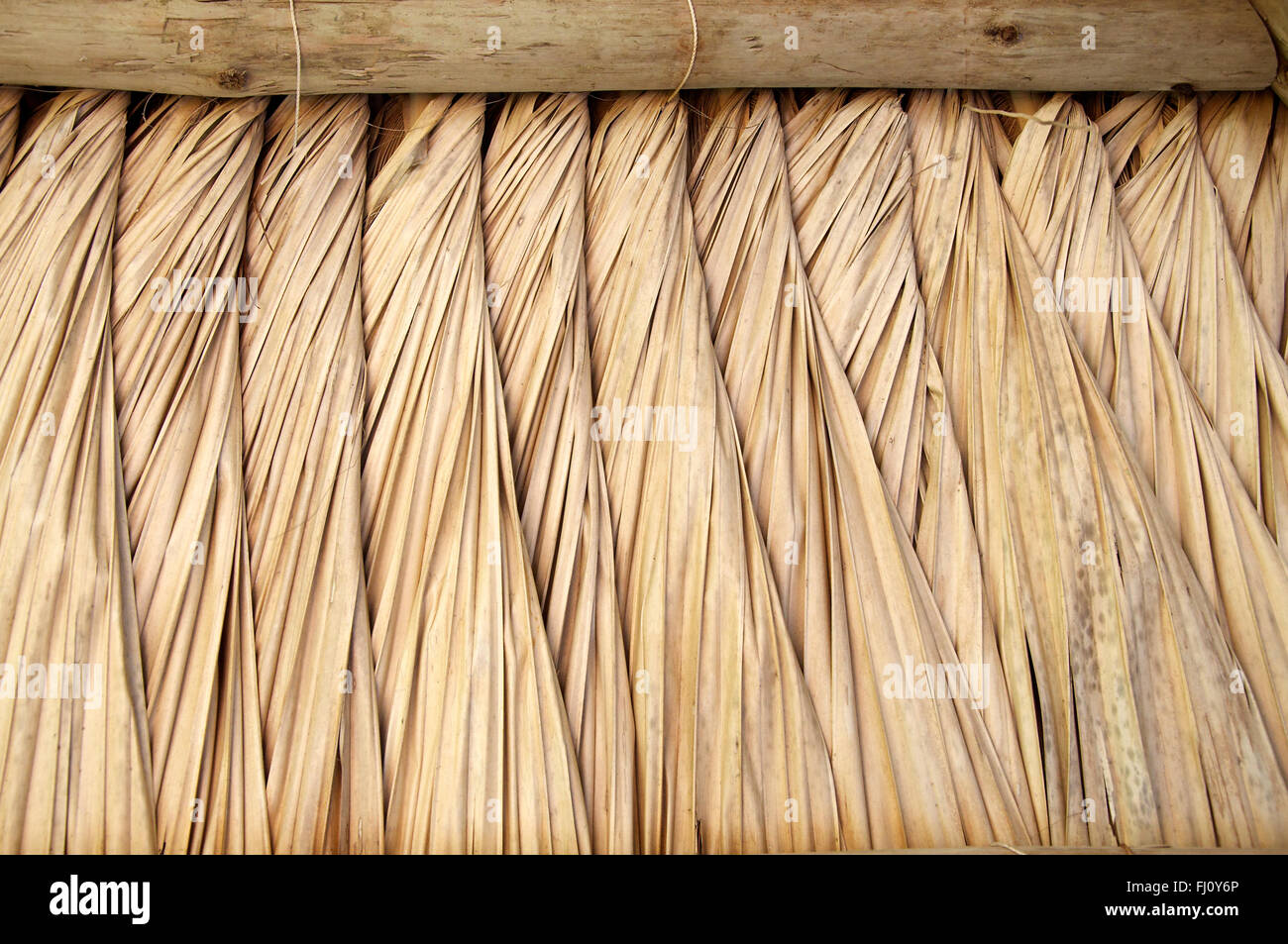 Thatch texture hi-res stock photography and images - Alamy