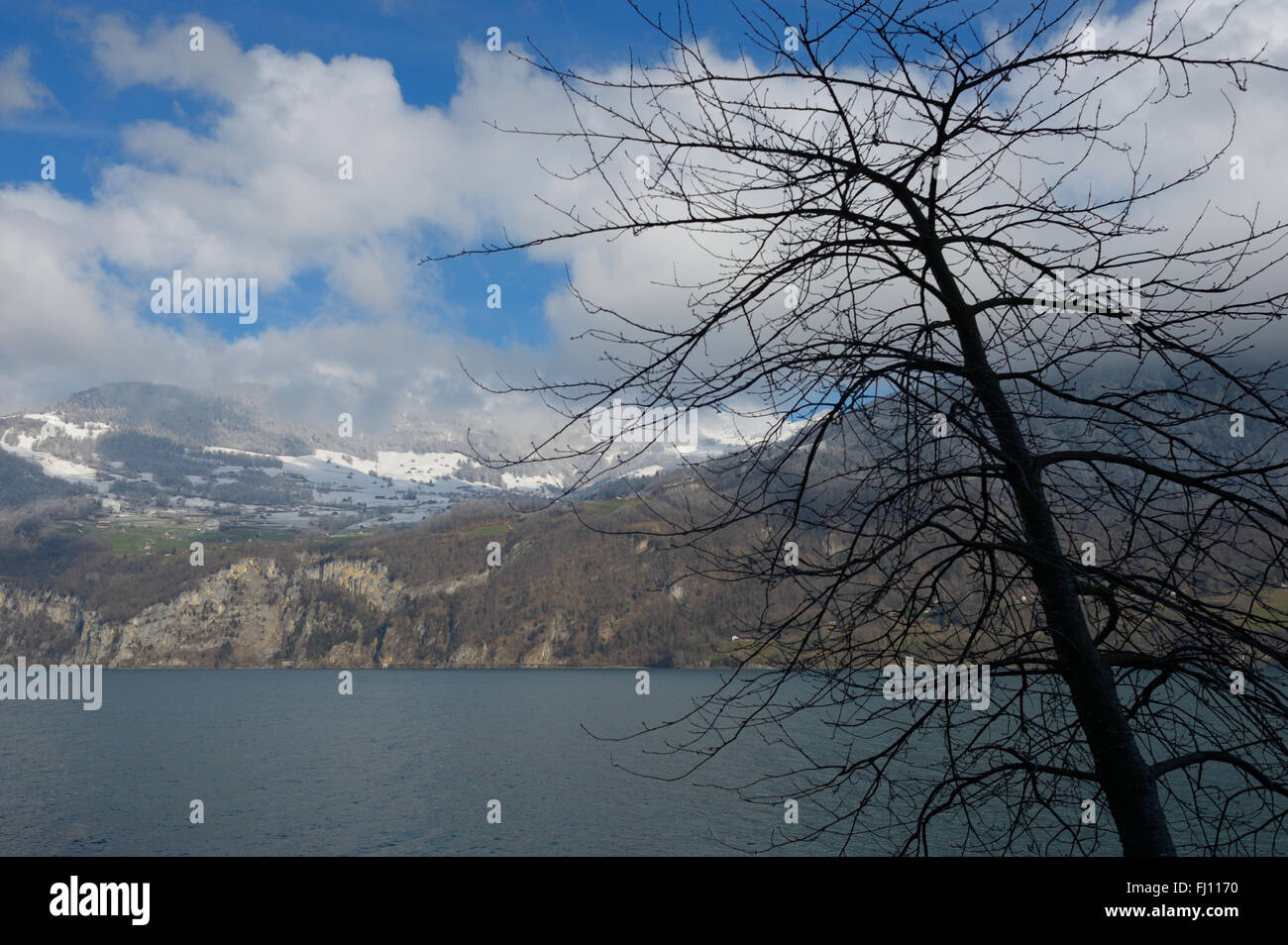 Lake Walensee and Amden village, Mühlehorn CH Stock Photo - Alamy
