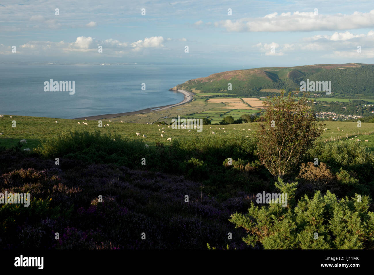 View across coastal landscape of North Devon Stock Photo - Alamy