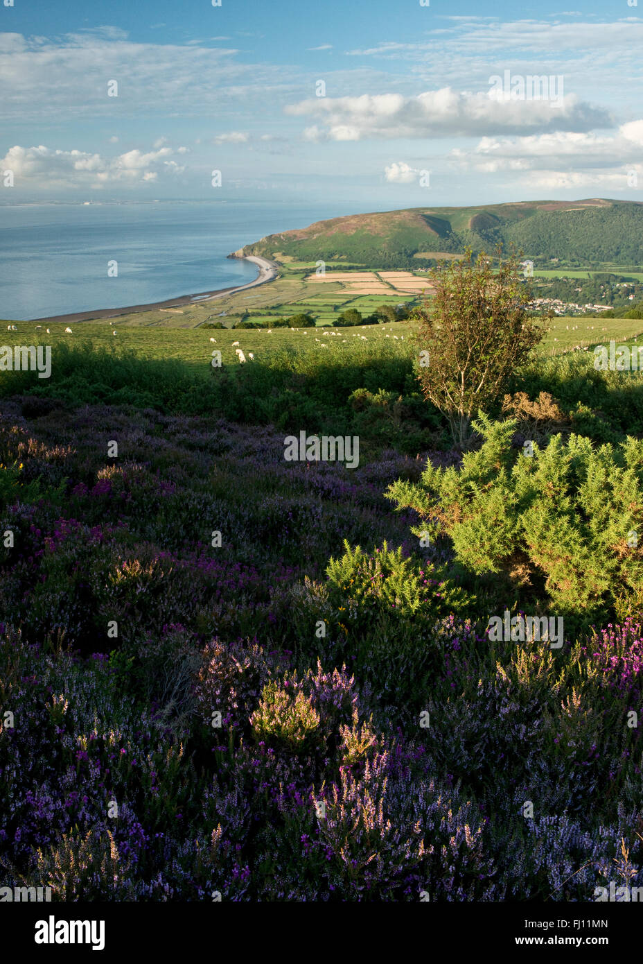 View across coastal landscape of North Devon Stock Photo - Alamy