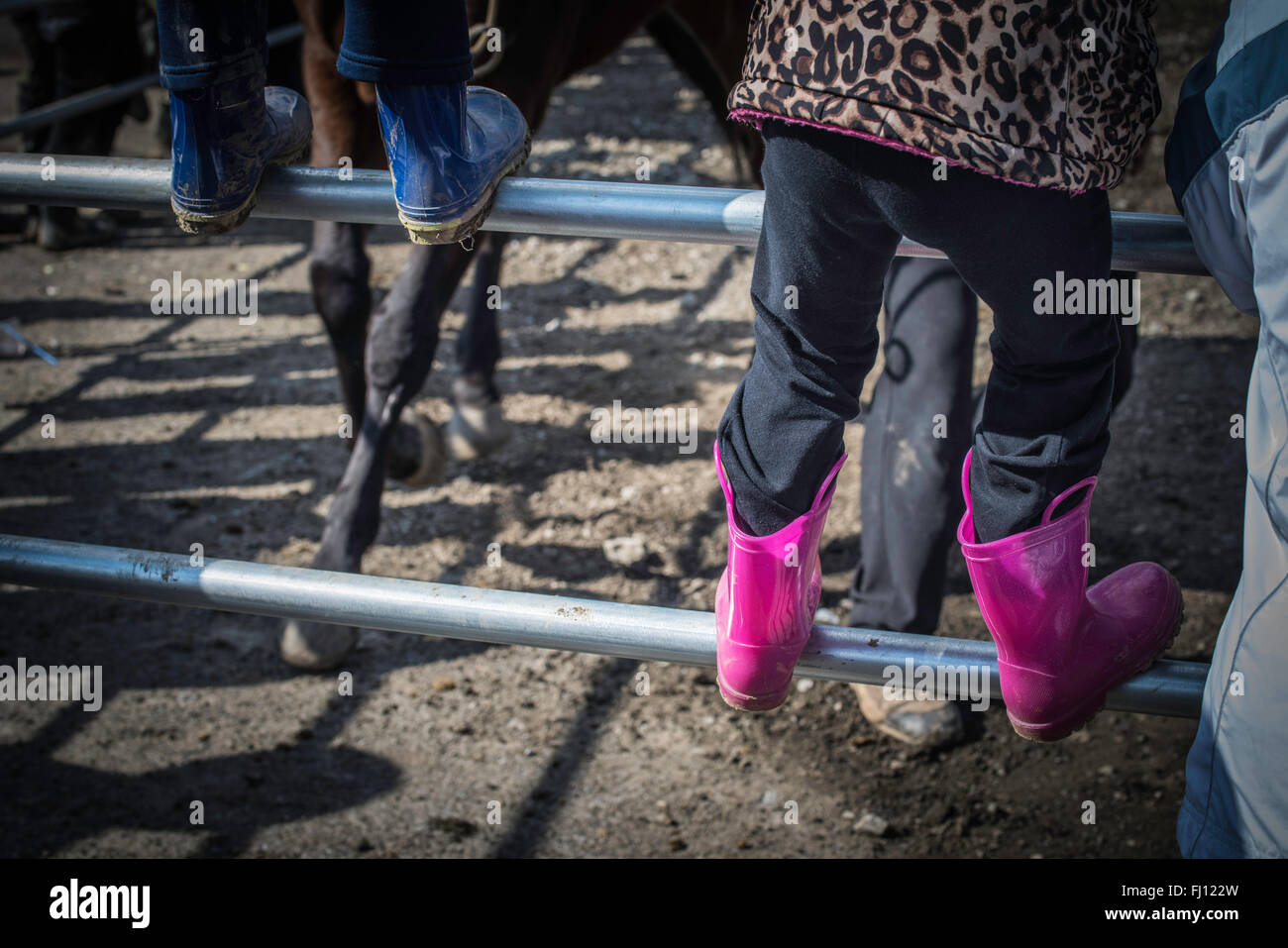 Lancaster, Pennsylvania, US. 27th Feb, 2016. Amish Mud Sale, held every ...