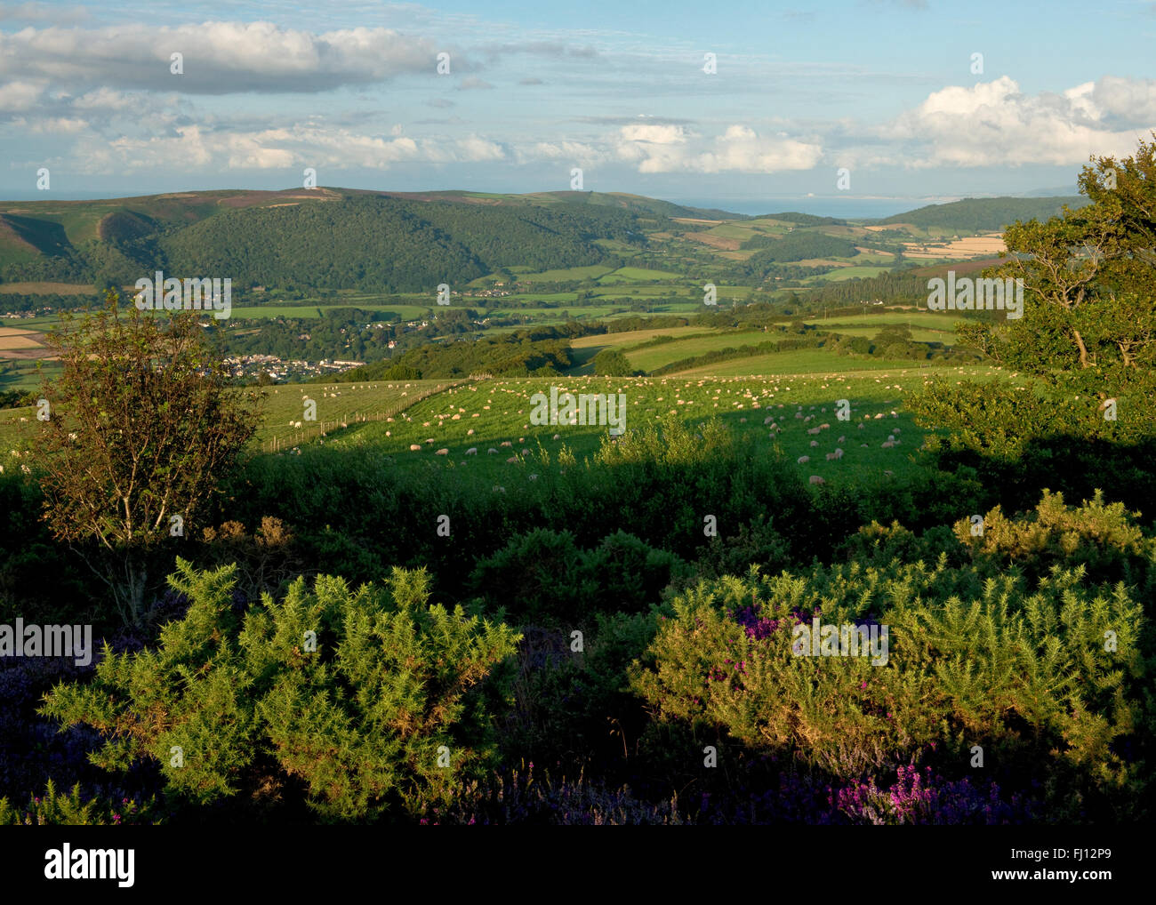 View across coastal landscape of North Devon Stock Photo - Alamy