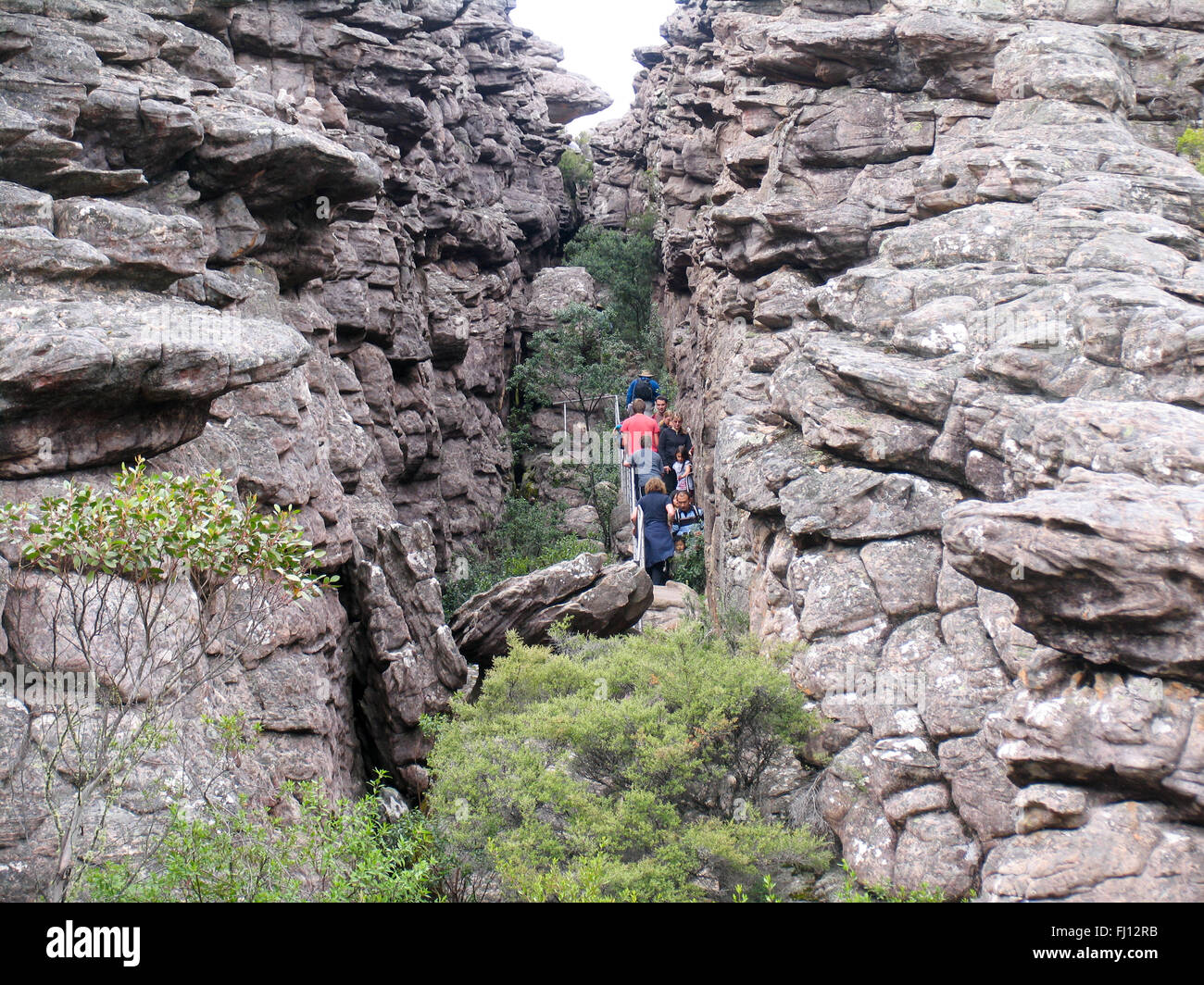 Australian rural bushwalking hi-res stock photography and images - Alamy