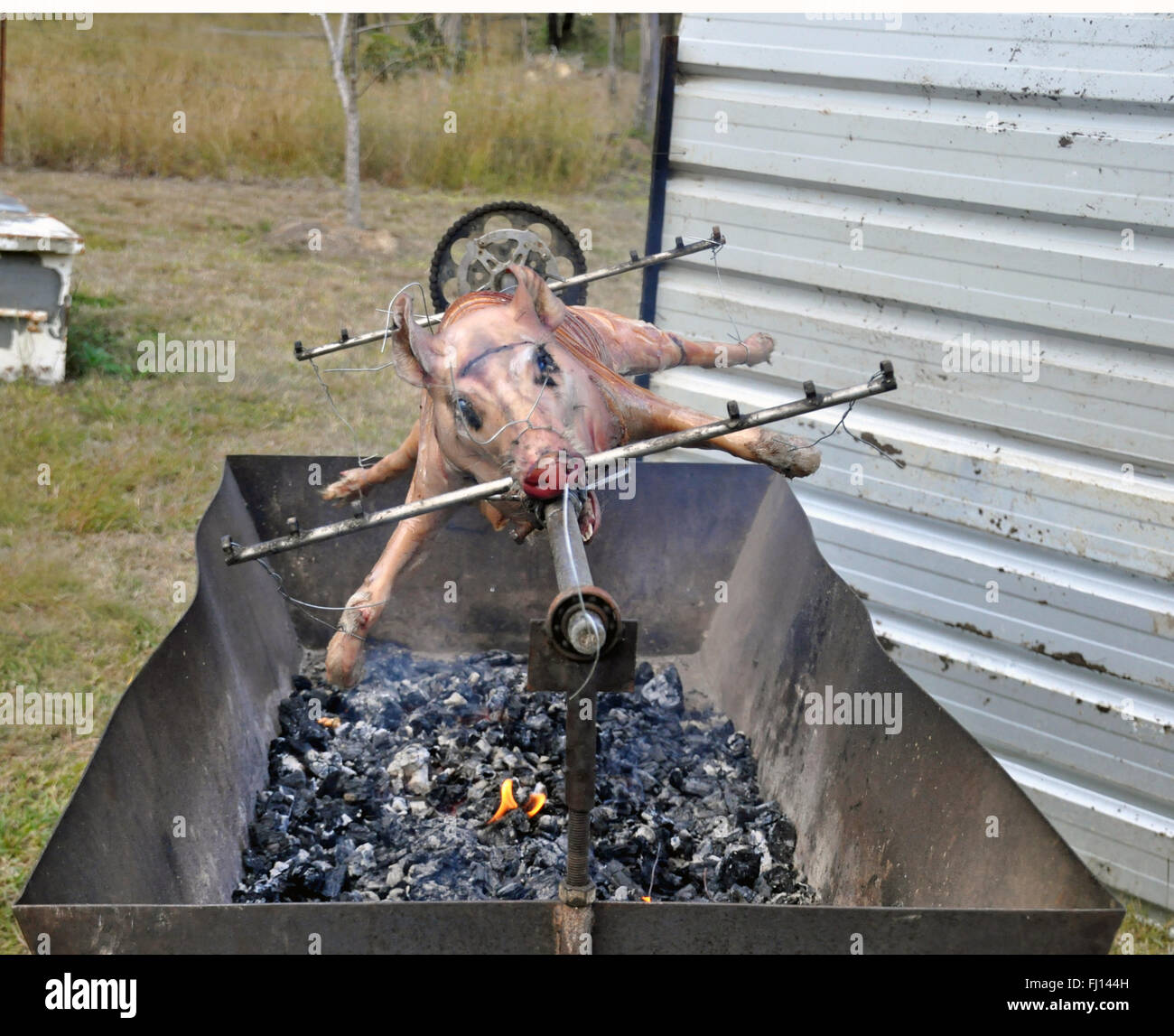 COOKING A WHOLE PIG ON A ROTISSERY SPIT Stock Photo - Alamy