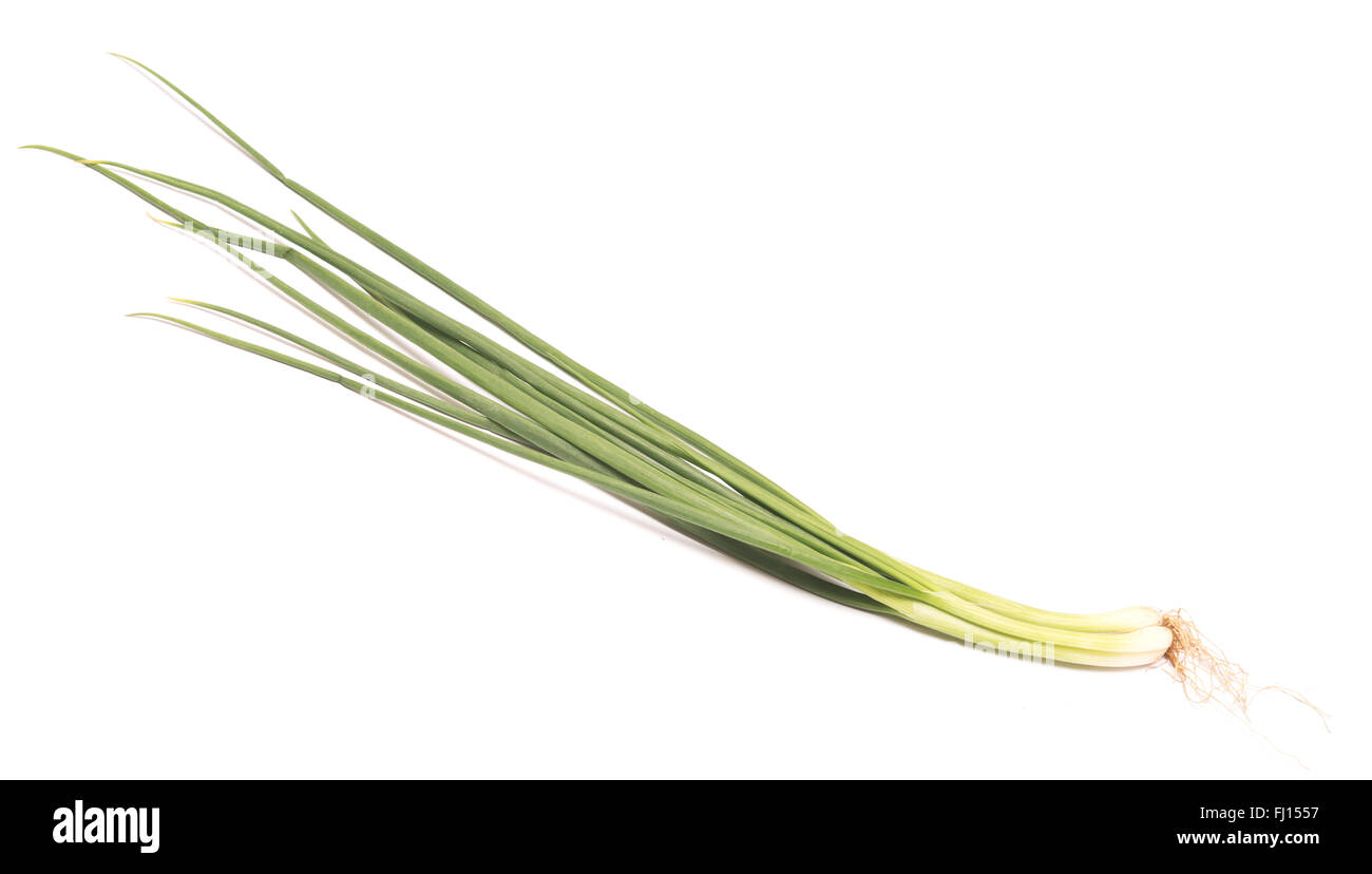 fresh green onion isolated on white background Stock Photo - Alamy