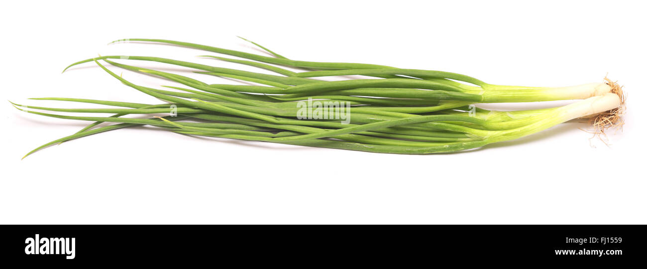 fresh green onion isolated on white background Stock Photo - Alamy