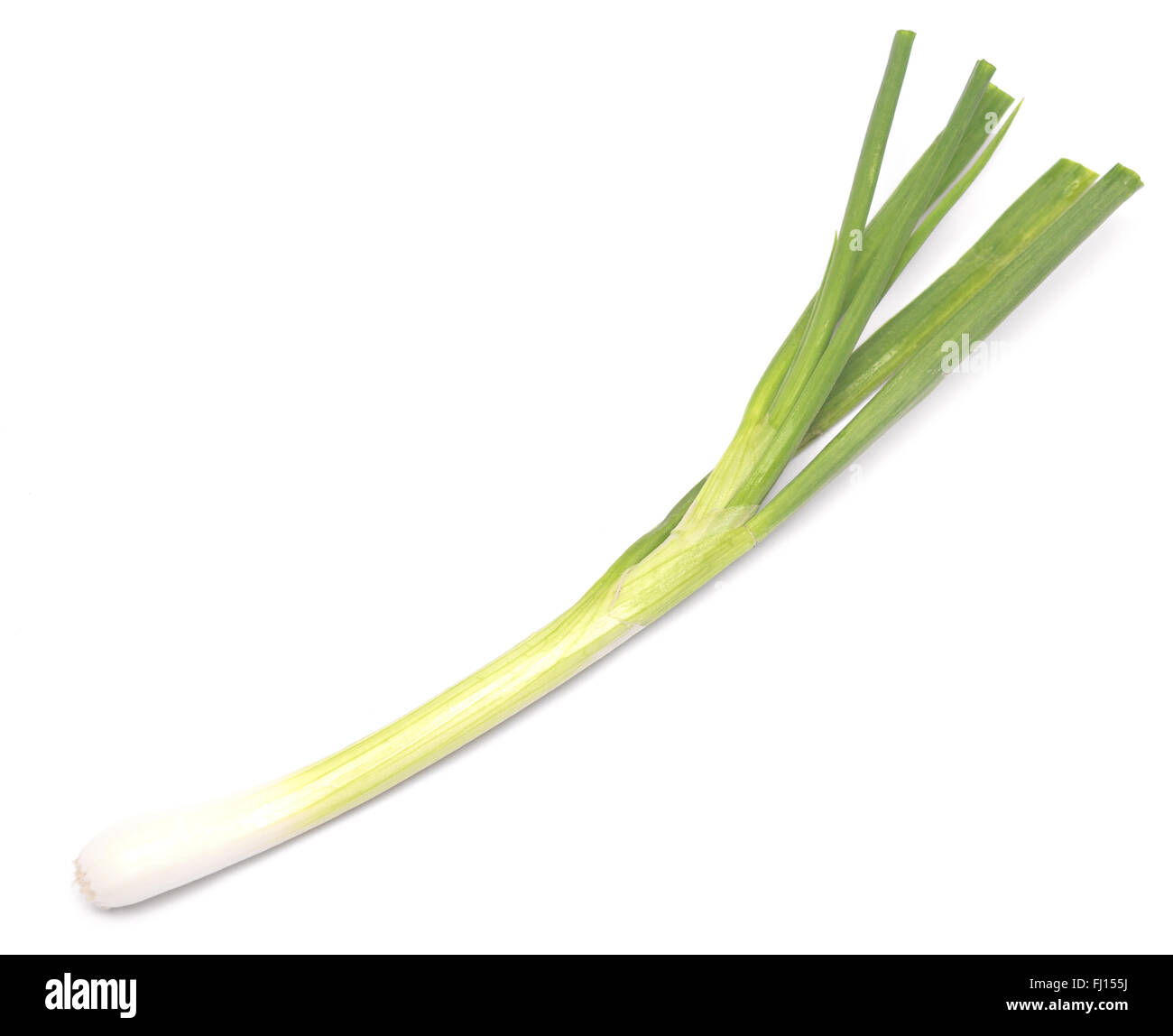 String of onions on white hi-res stock photography and images - Alamy