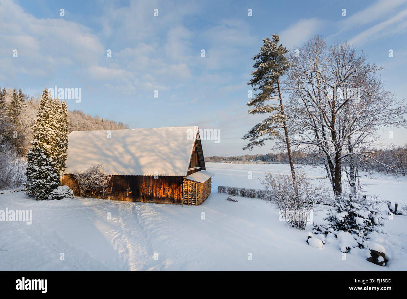 Estonia, old wooden barn in winter Stock Photo - Alamy
