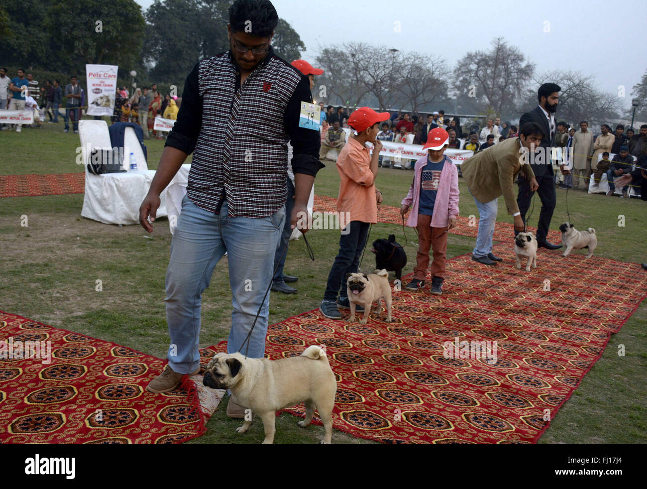 Pakistani dogs hi-res stock photography and images - Alamy