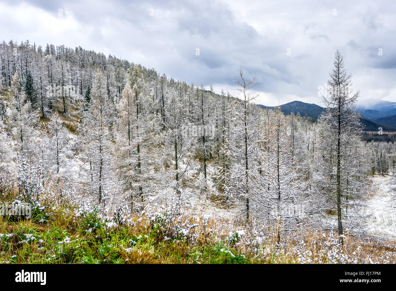 View of first snow on mountain pass Stock Photo - Alamy
