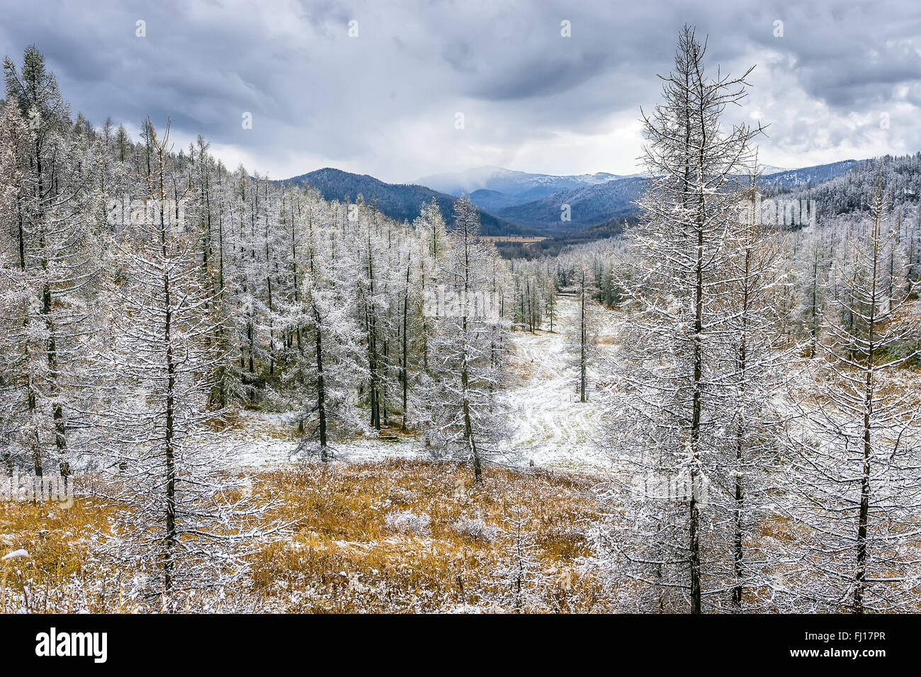 View of first snow on mountain pass Stock Photo - Alamy