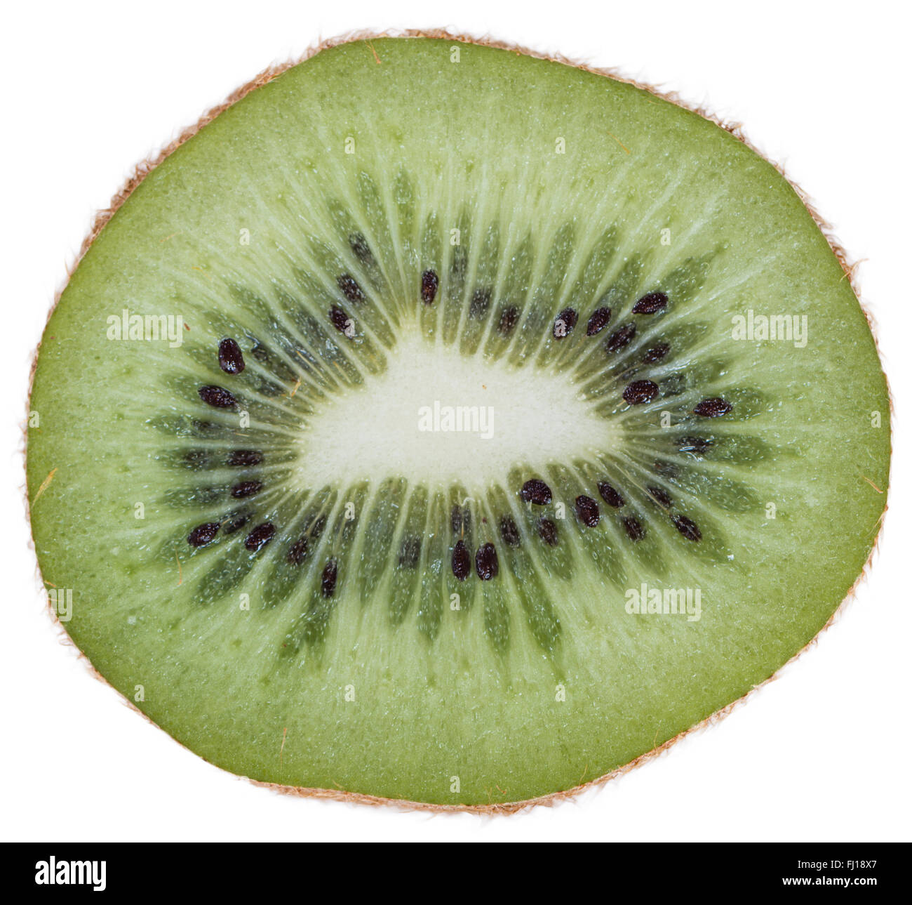 Kiwi Fruits (close-up shot) isolated on white background Stock Photo ...