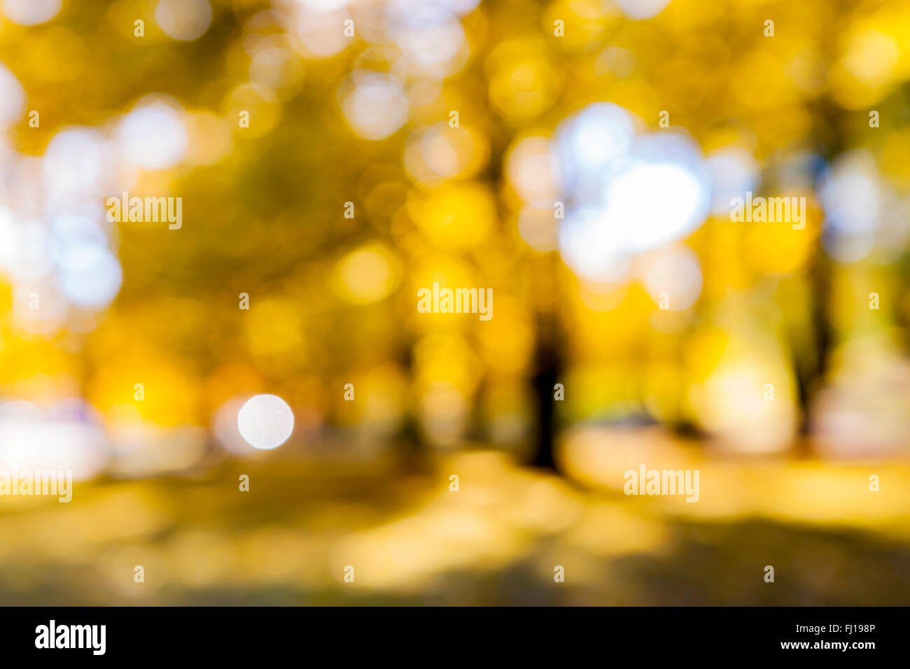 Defocused Nature Background Stock Photo - Alamy