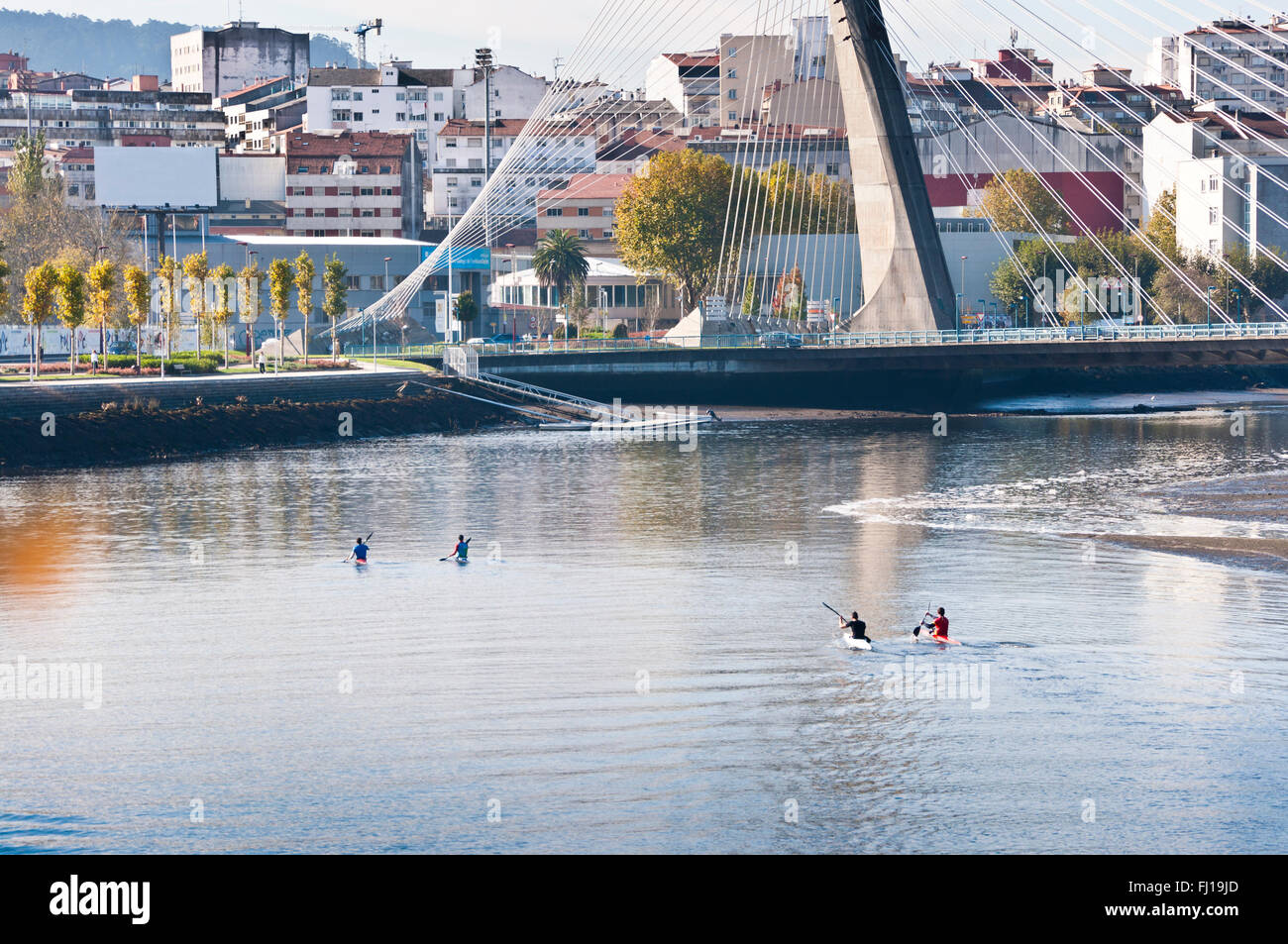 Rowing in the ria of Pontevedra, Galicia, Spain Stock Photo - Alamy