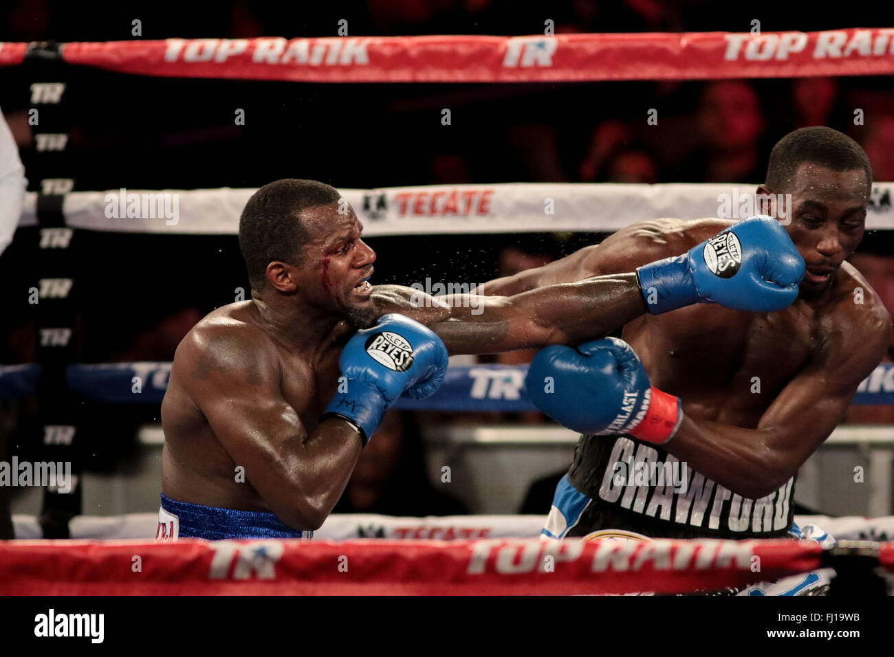 New York, New York, USA. 28th Feb, 2016. TERENCE CRAWFORD (blue and ...