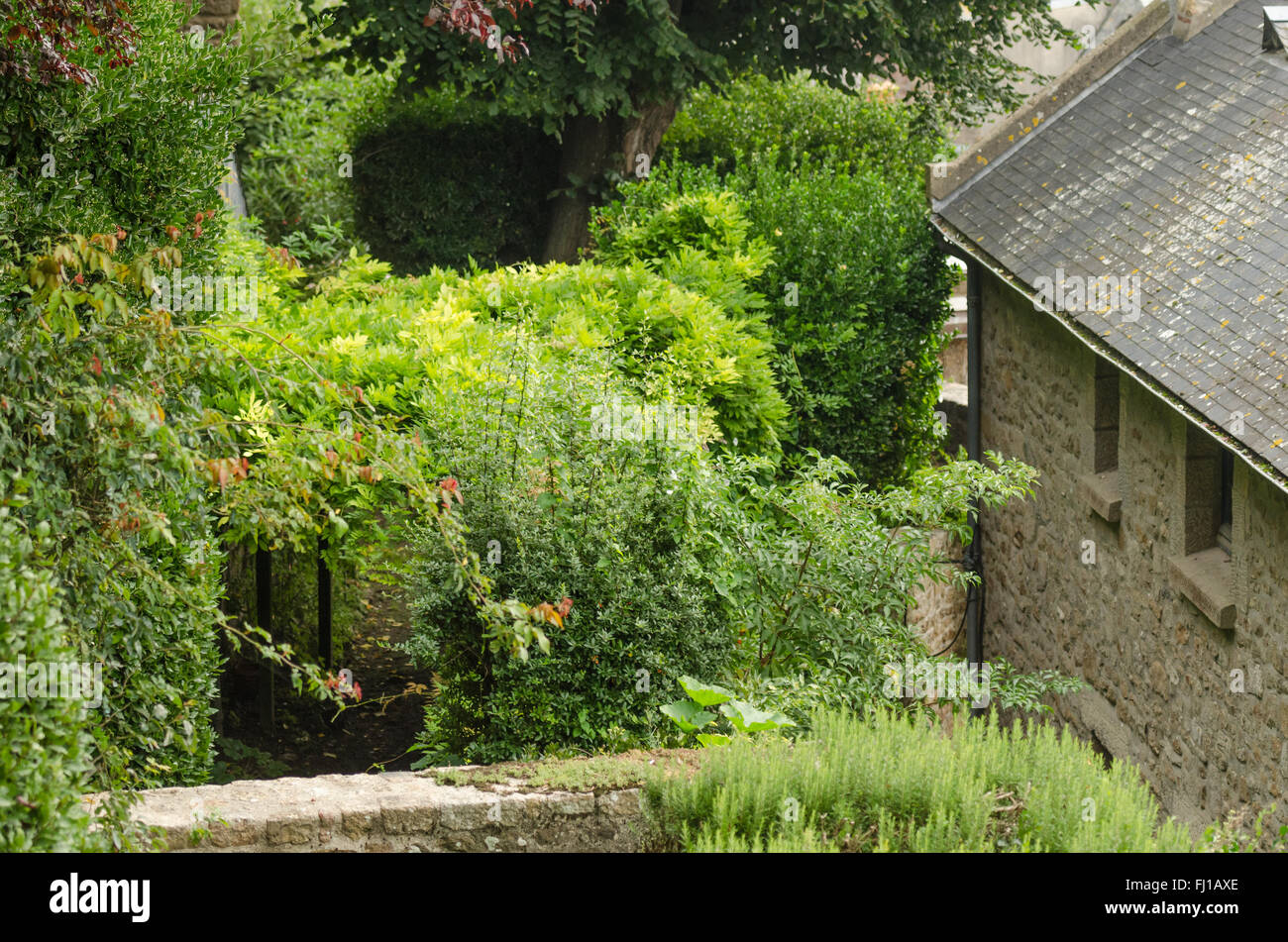 Greenery wallpaper hi-res stock photography and images - Alamy